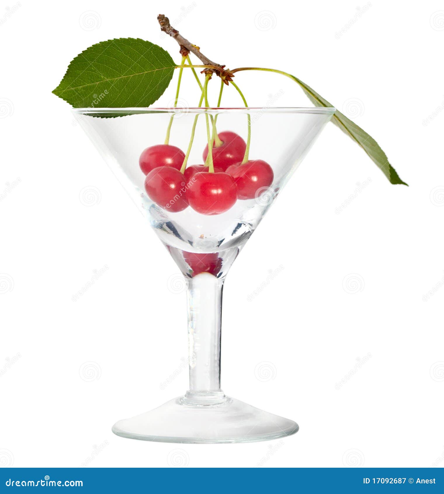 Fresh Red Cherry in Wineglass Stock Image - Image of morello, bunch ...