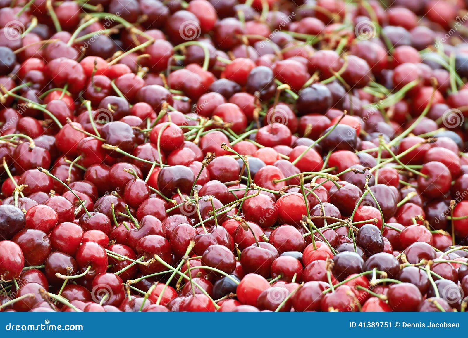 Fresh red cherrys stock image. Image of healthy, snack - 41389751