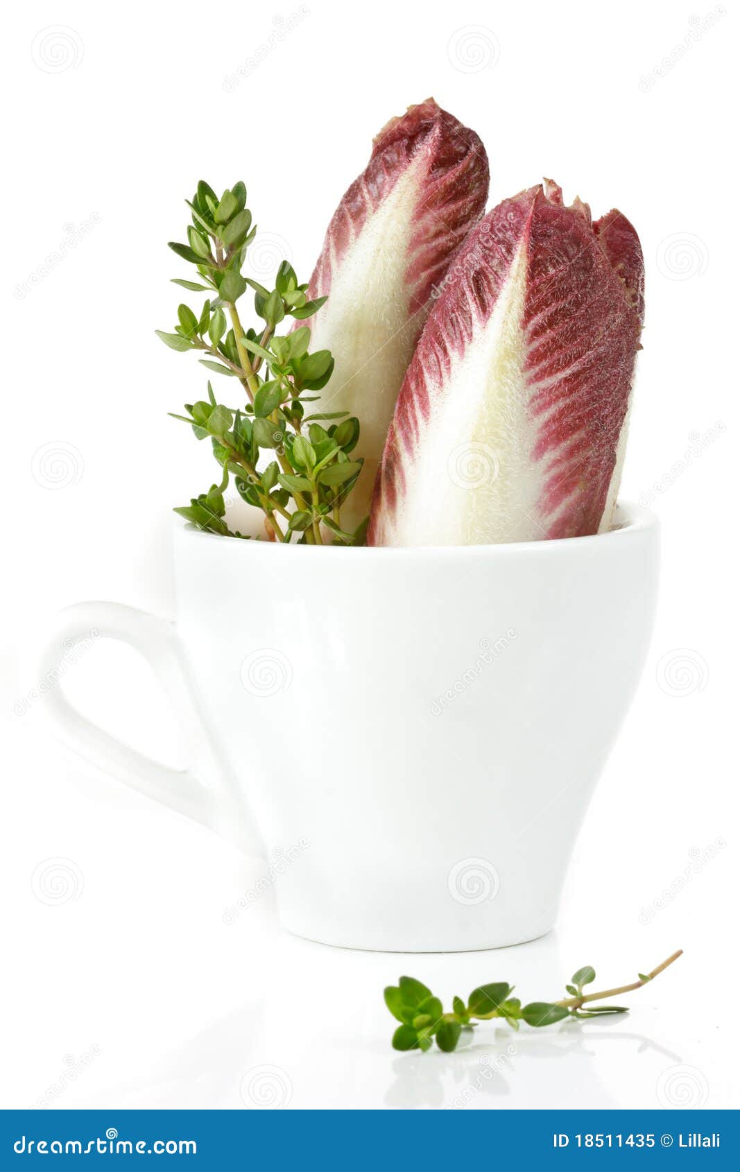 Fresh red chicory. stock image. Image of food, tasty - 18511435
