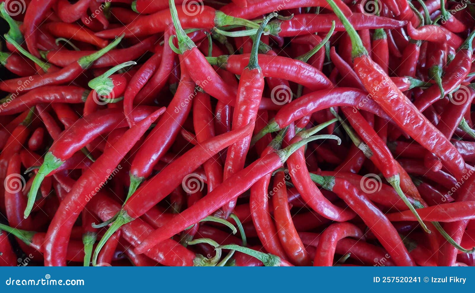 Fresh Red Chili in the Market Stock Image - Image of fruit, pepper ...