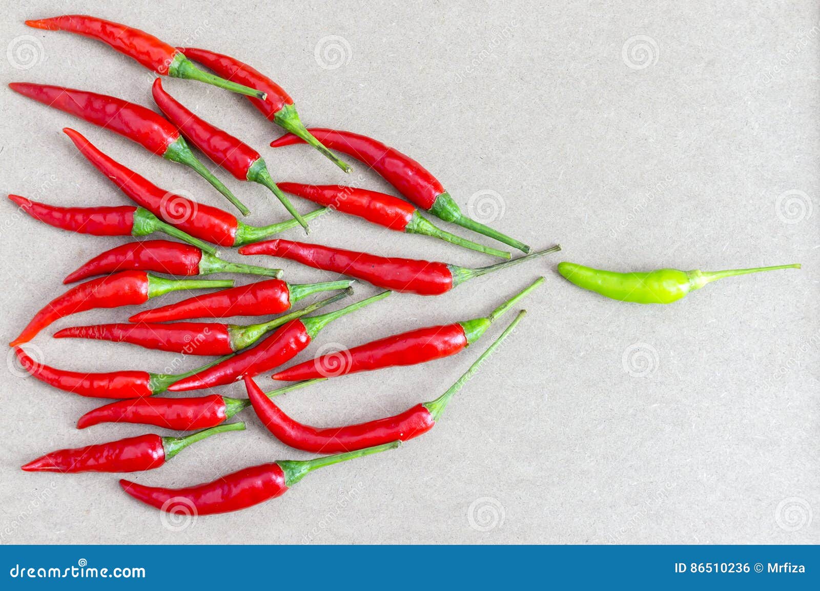Fresh of Red Chilli and Green Chilli. Stock Photo - Image of guide ...