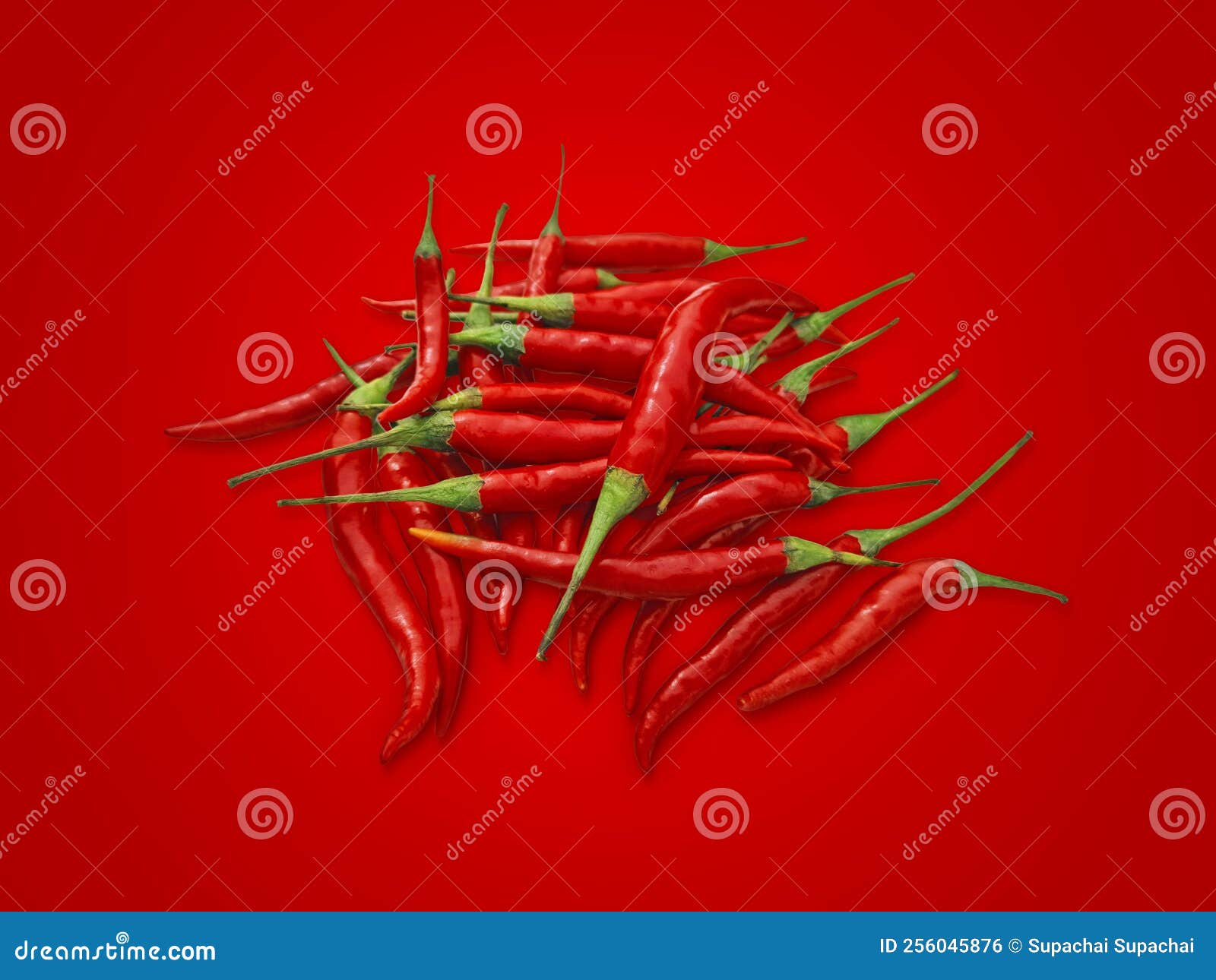 Fresh Red Chilli on Red Background Stock Photo - Image of culture ...
