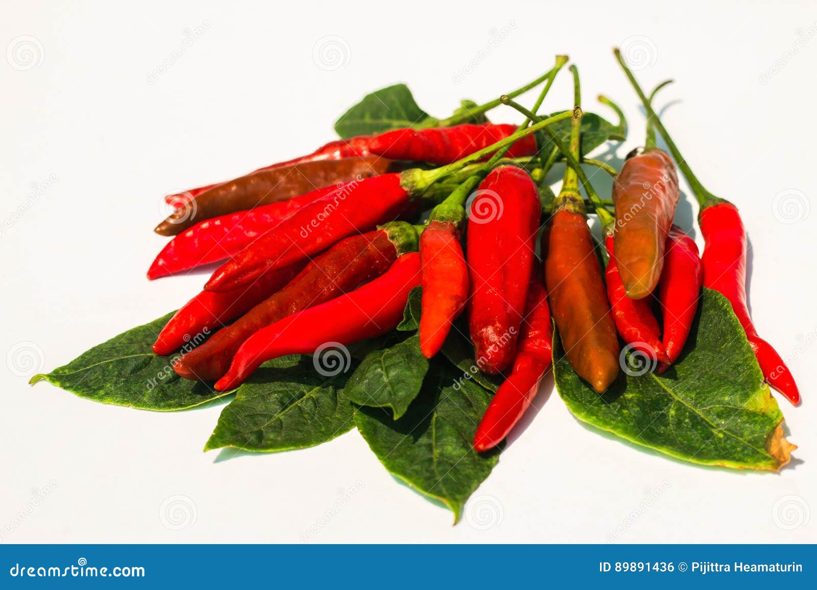 Fresh Red Chilli on White Background Stock Photo - Image of cayenne ...