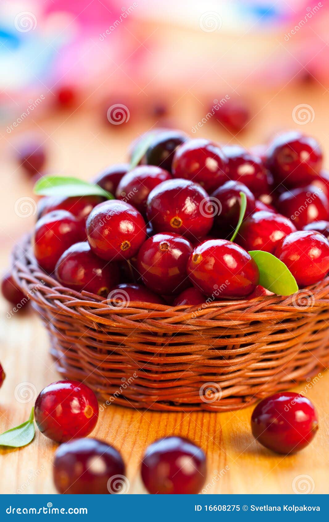 Fresh red cranberries stock image. Image of focus, season - 16608275