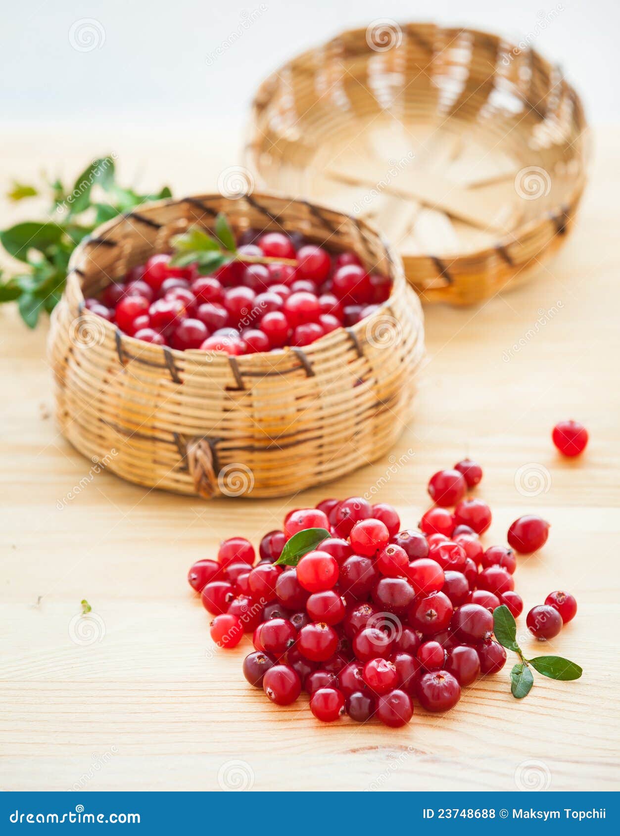 Fresh red cranberries stock photo. Image of fruit, full - 23748688