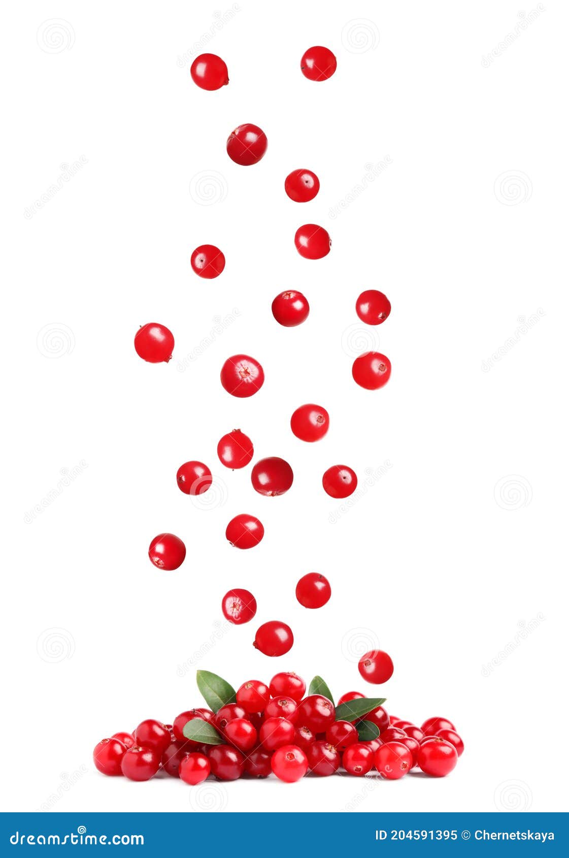 Fresh Red Cranberries Falling in Pile on White Background Stock Image ...