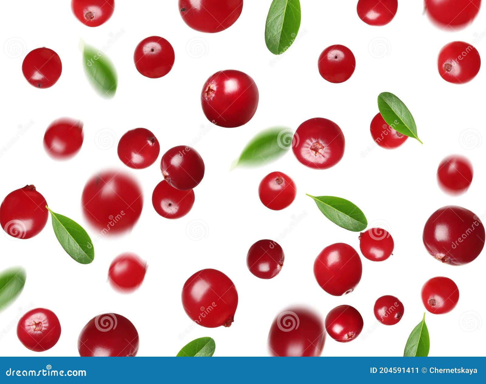Fresh Red Cranberries Falling on White Background Stock Image - Image ...