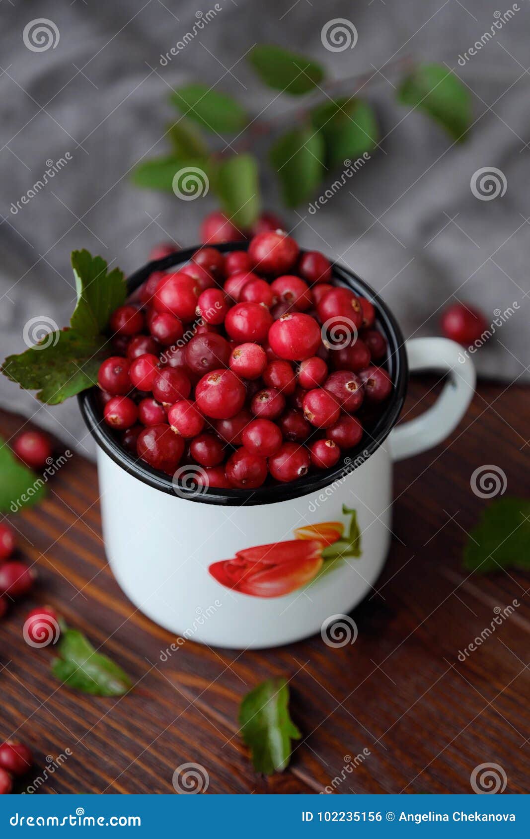 Fresh Red Cranberries with Leaves on the Table Stock Photo - Image of ...