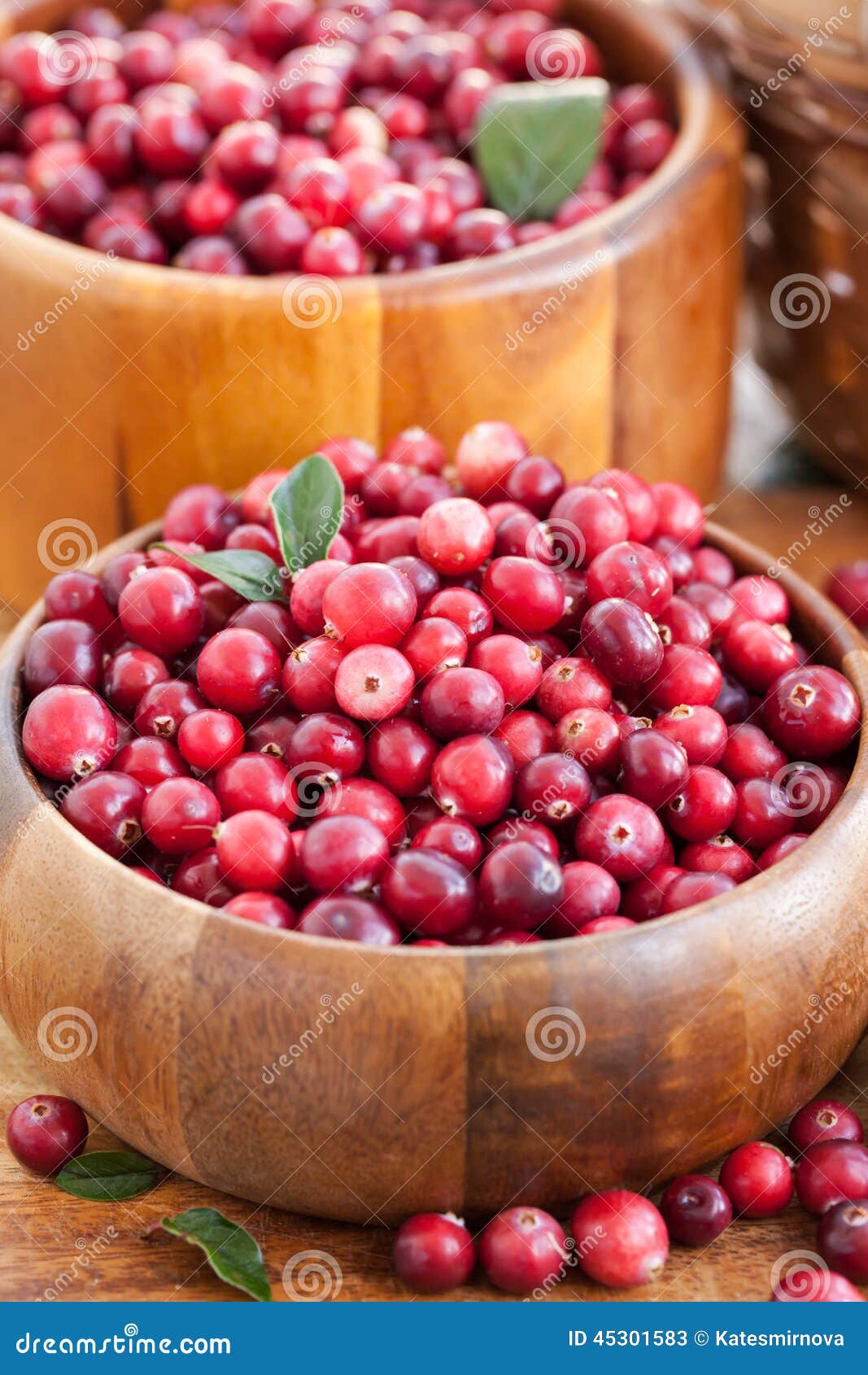 Fresh red cranberry stock image. Image of vitamin, fresh - 45301583