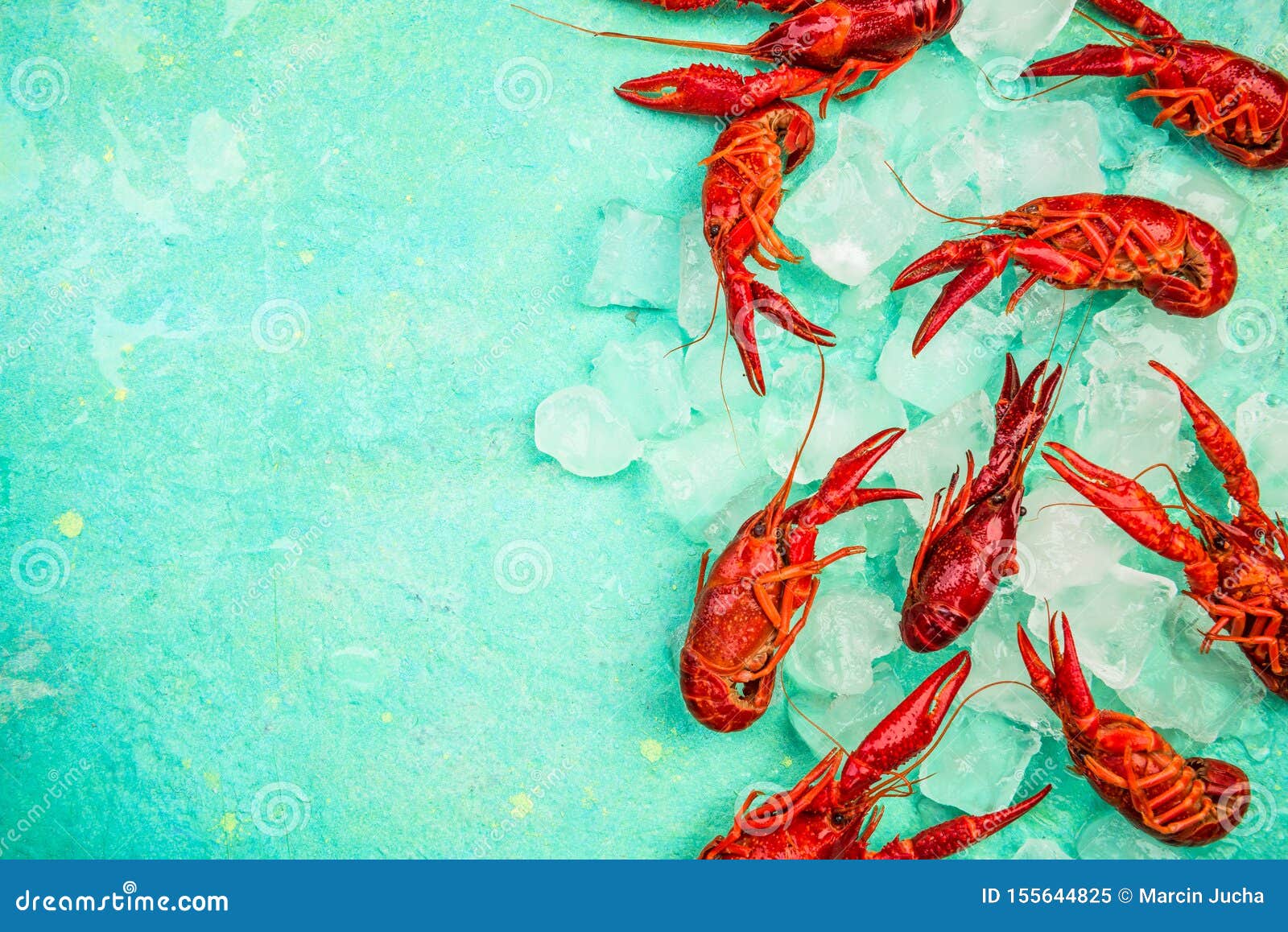 Fresh Red Crayfish Over Ice, Top View, Vibrant Colors Stock Image ...