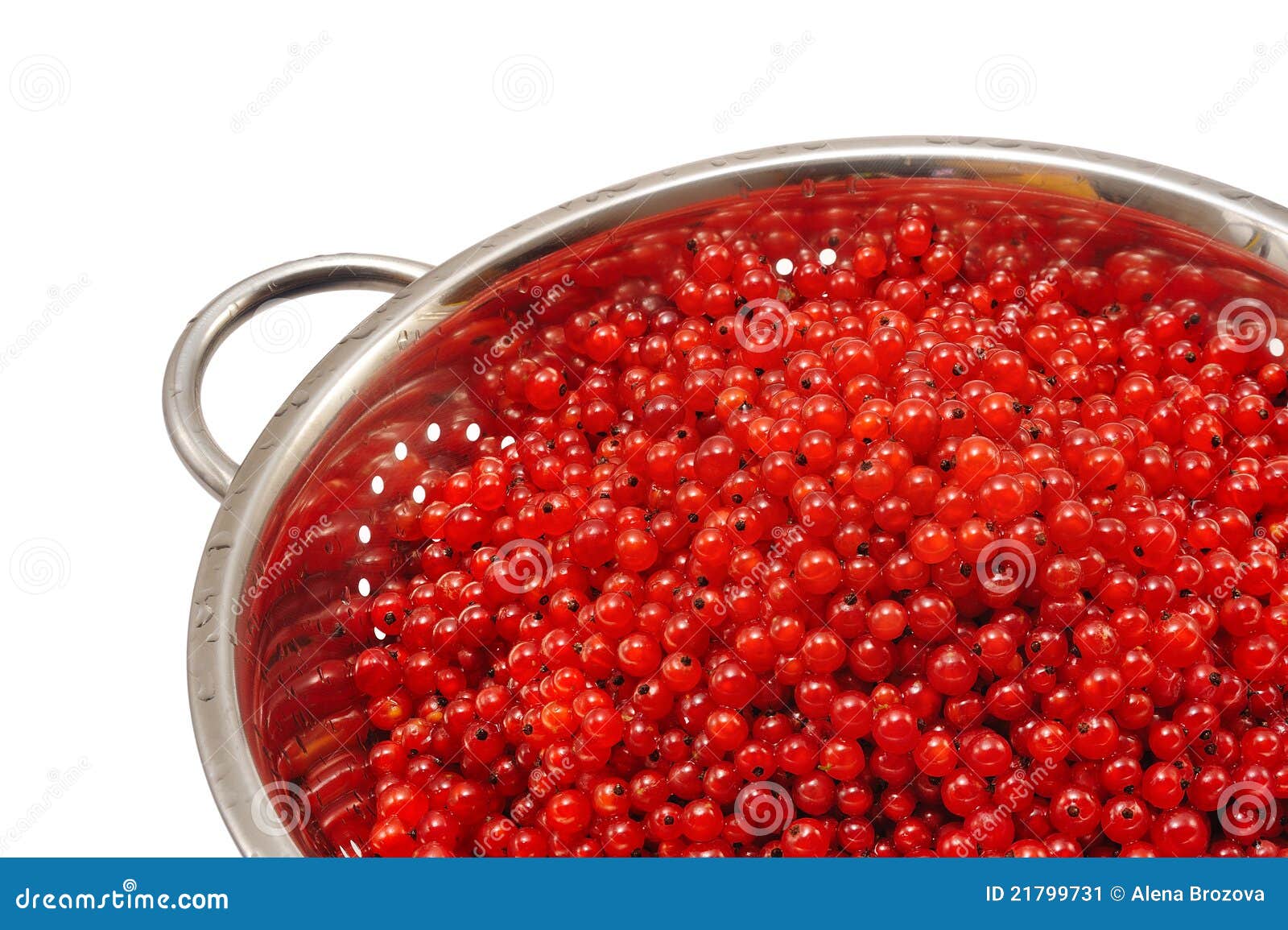 Fresh Red Currant Berries with Water Drops in Cola Stock Image - Image ...