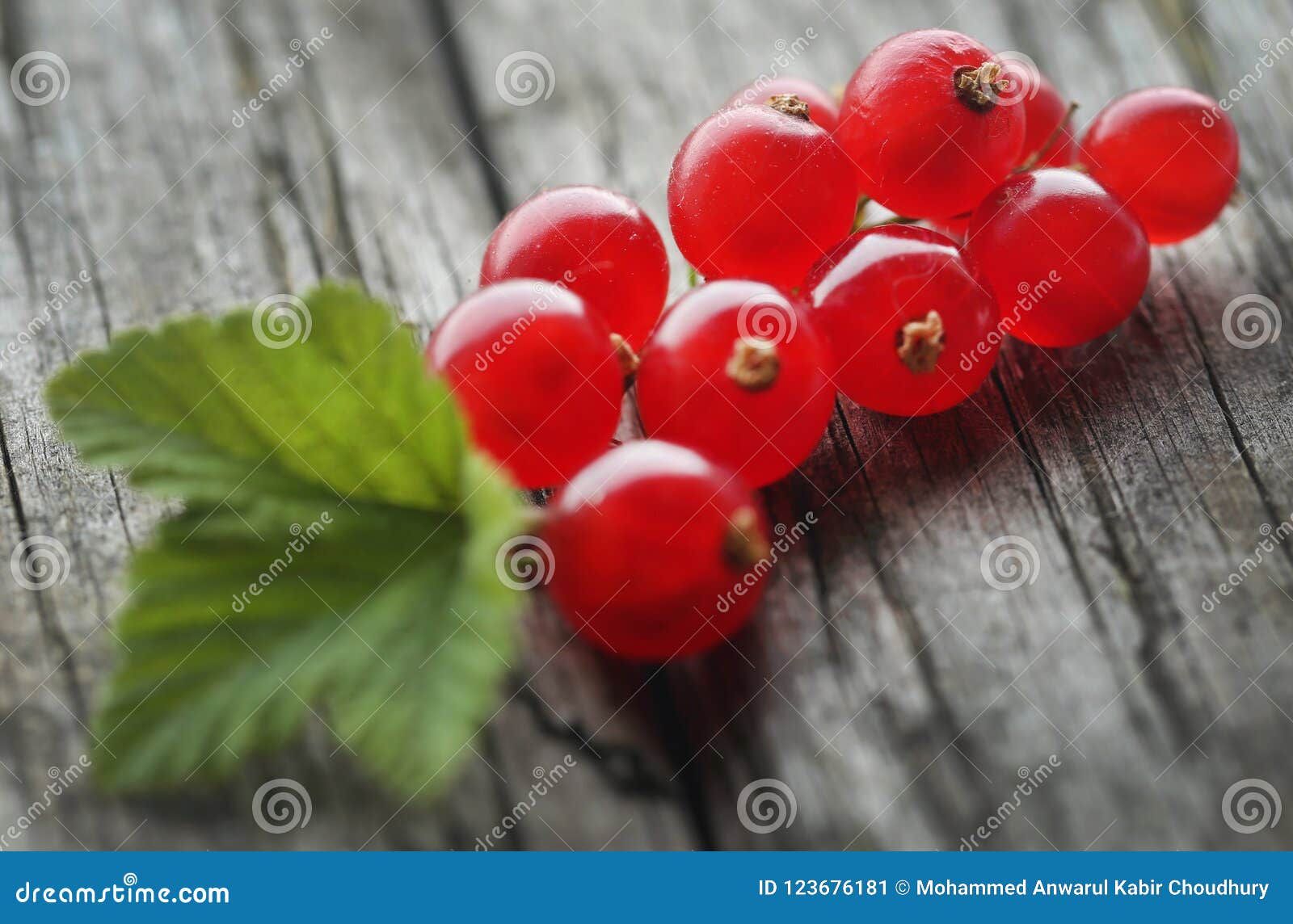 Fresh red currant stock image. Image of redcurrants - 123676181