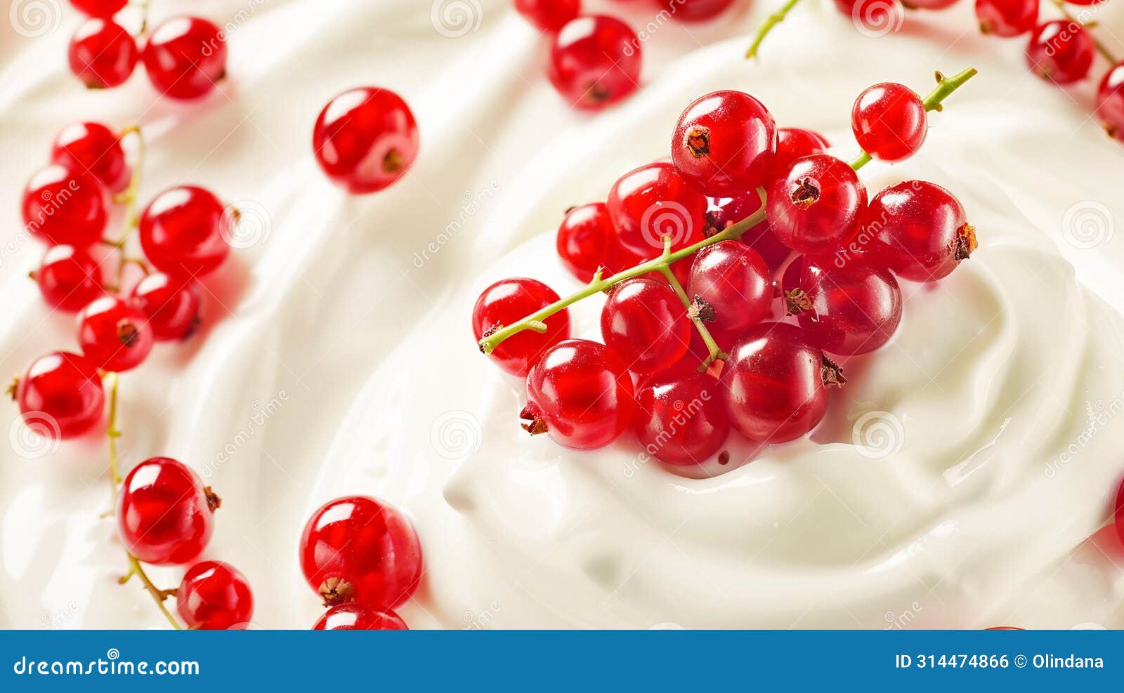 Fresh Red Currants in Creamy Yoghurt. Various Dairy Products ...