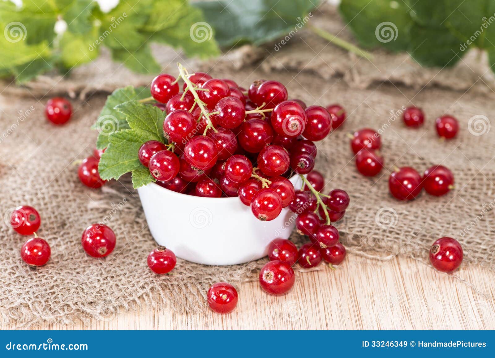 Fresh Red Currants stock image. Image of nature, dessert - 33246349