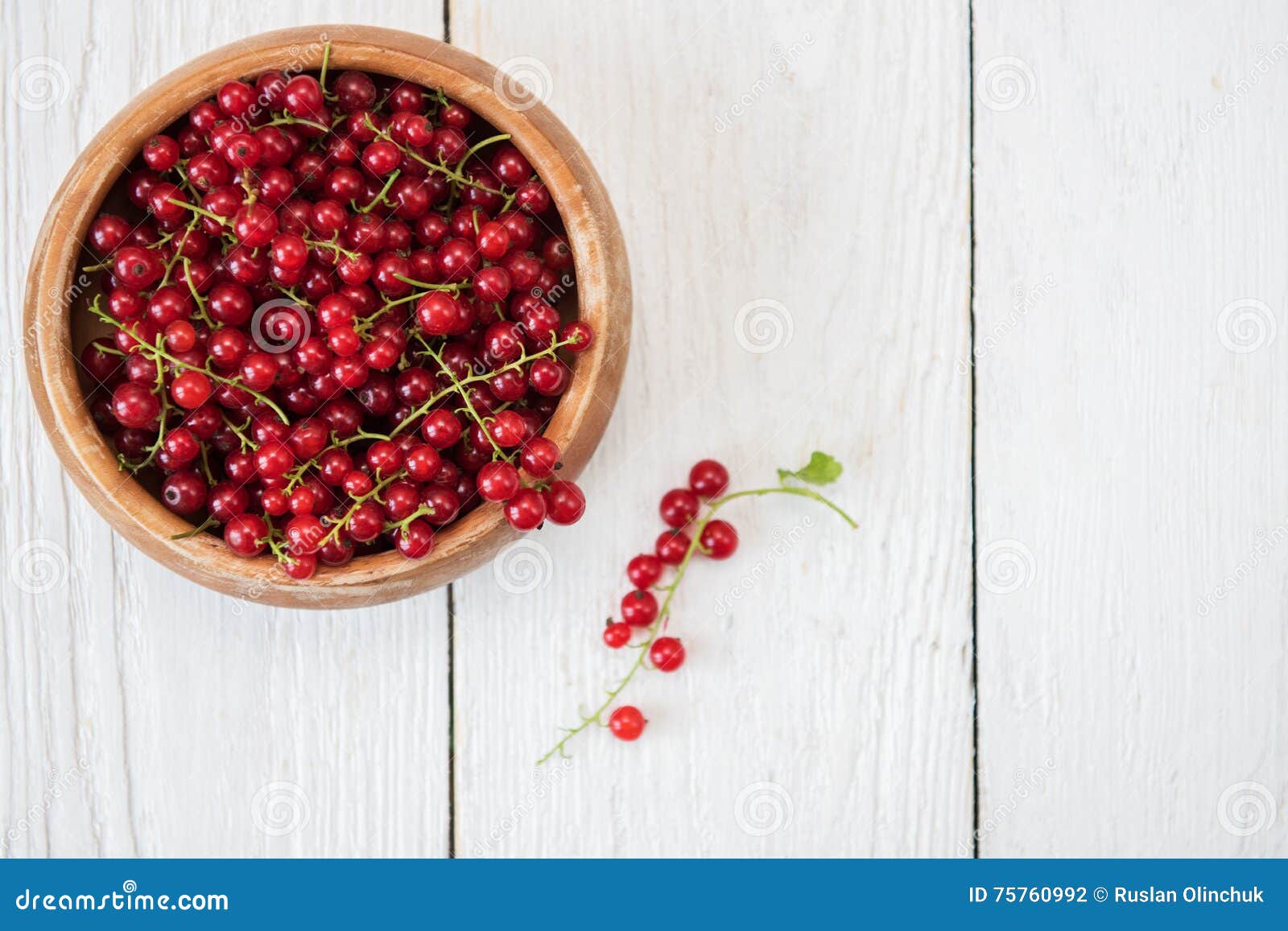 Fresh red currants stock photo. Image of branch, berry - 75760992