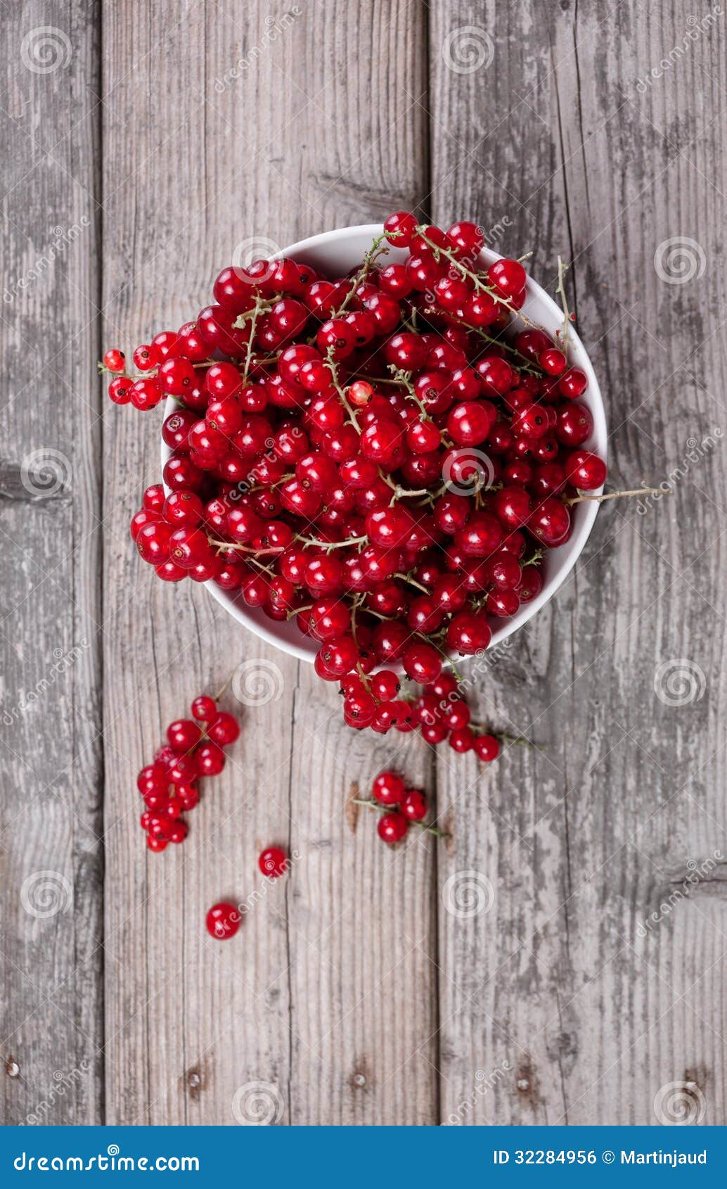 Fresh red currants stock photo. Image of currant, currants - 32284956