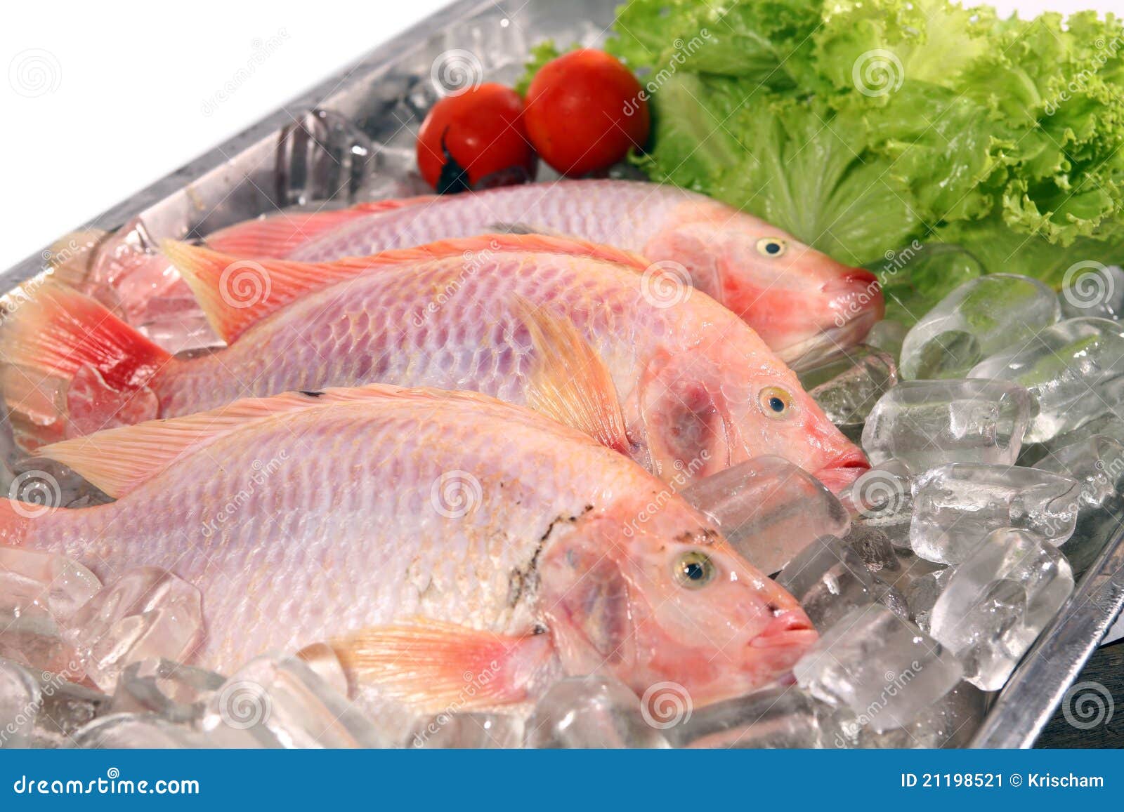 Fresh Red fish stock image. Image of catch, market, heap - 21198521