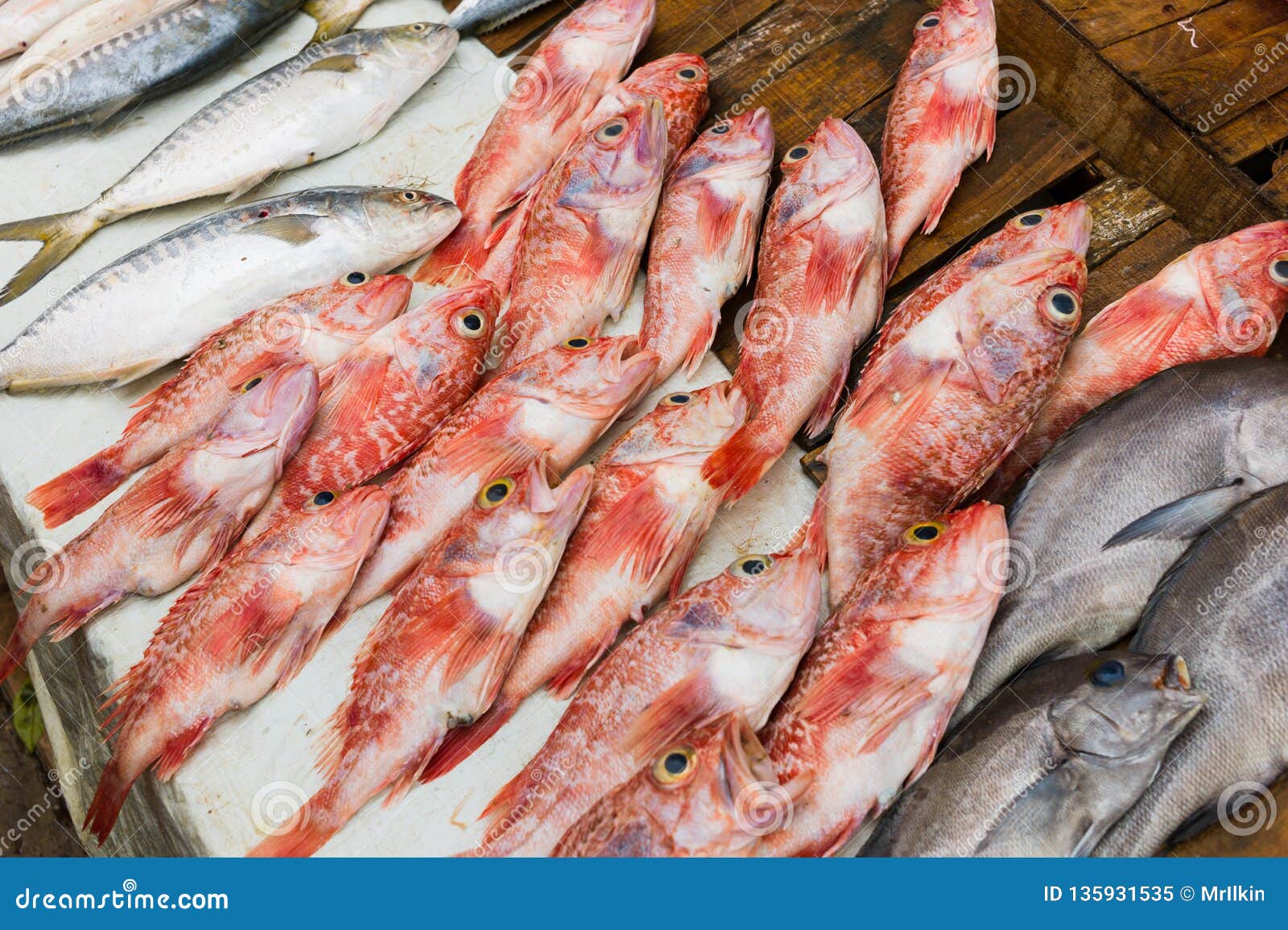 Fresh red fish stock image. Image of fillet, orange - 135931535