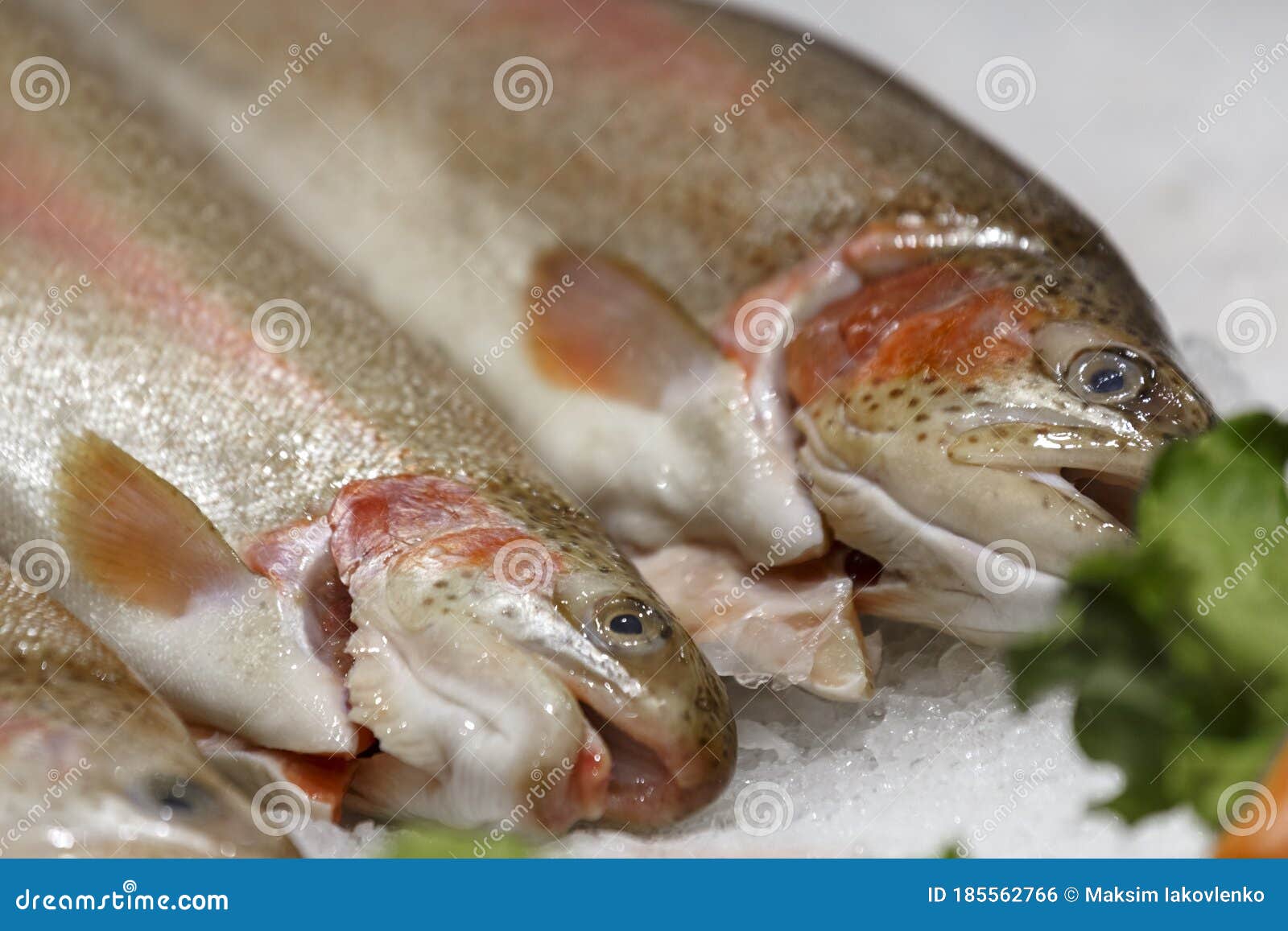 Fresh Red Fish on Ice. Fresh Salmon Trout Lying on the Ice Stock Photo ...