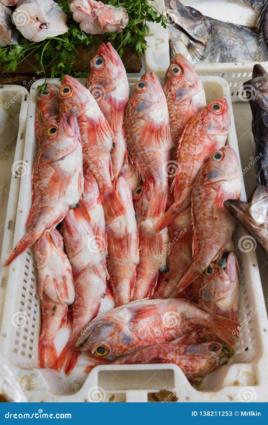 Fresh Red Fish in a Plastic Box Stock Image - Image of freshness ...