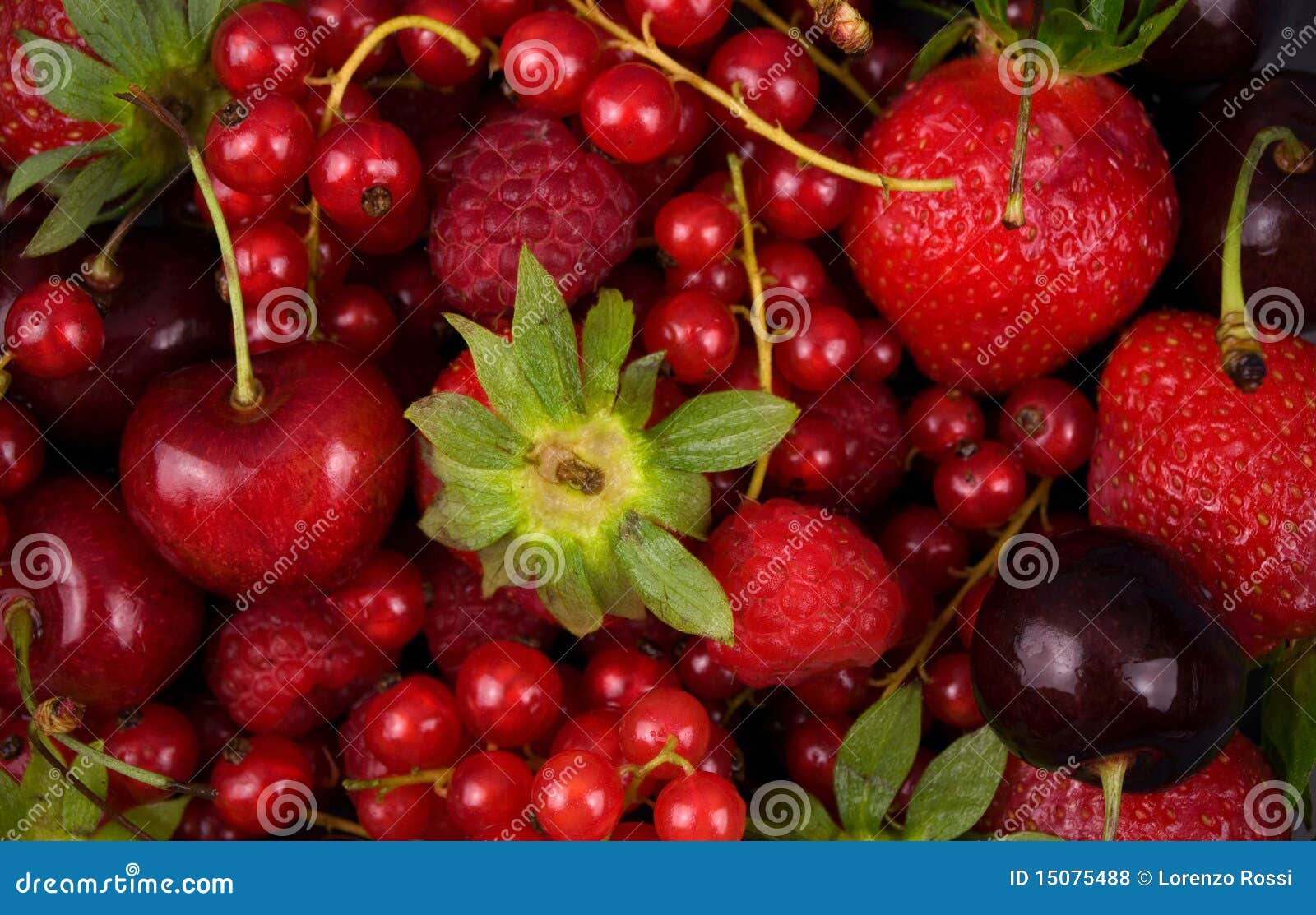 Fresh red fruit stock photo. Image of diet, healthy, macro - 15075488