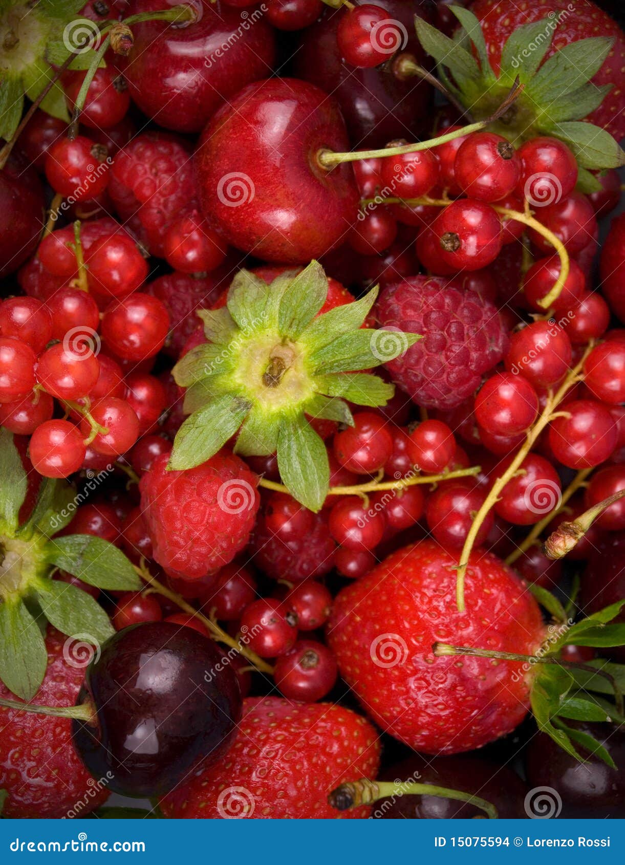 Fresh red fruit background stock photo. Image of healthy - 15075594
