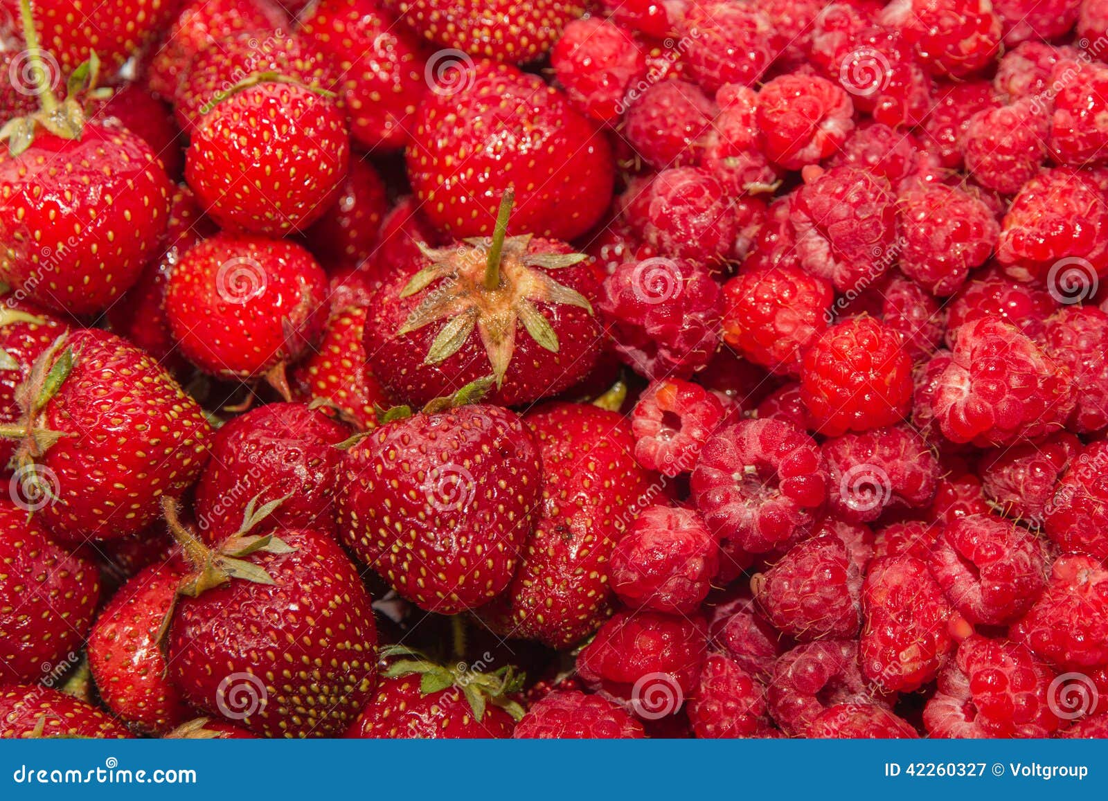 Fresh red fruit stock image. Image of strawberry, vitamins - 42260327