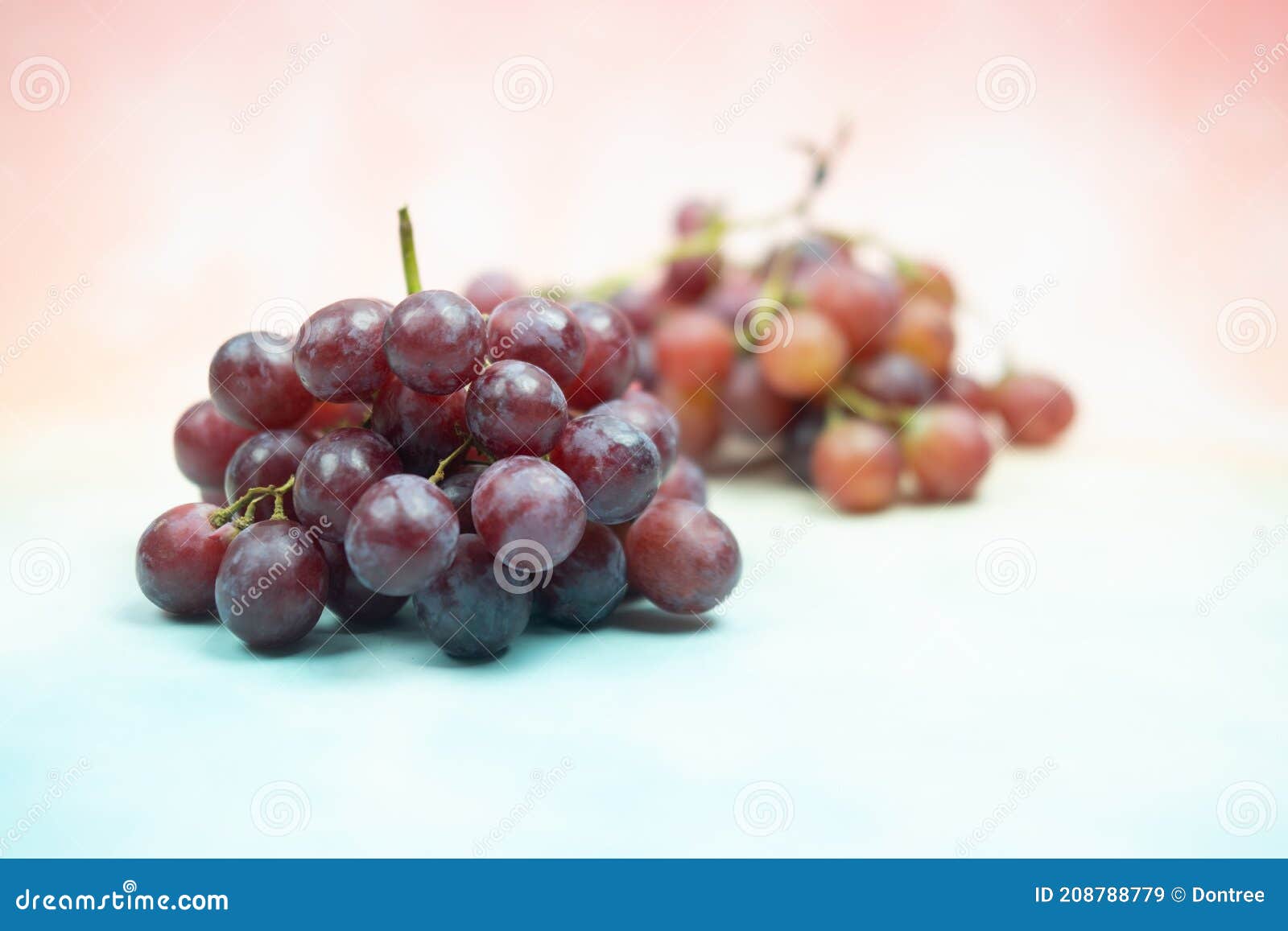 Fresh red grape fruit stock image. Image of fruit, concert - 208788779