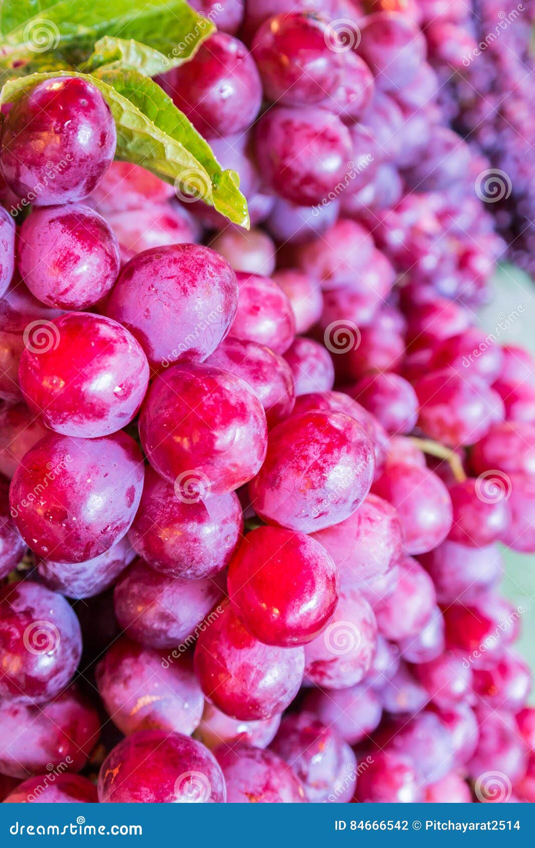 Fresh Red Grape Fruit stock photo. Image of green, cluster - 84666542