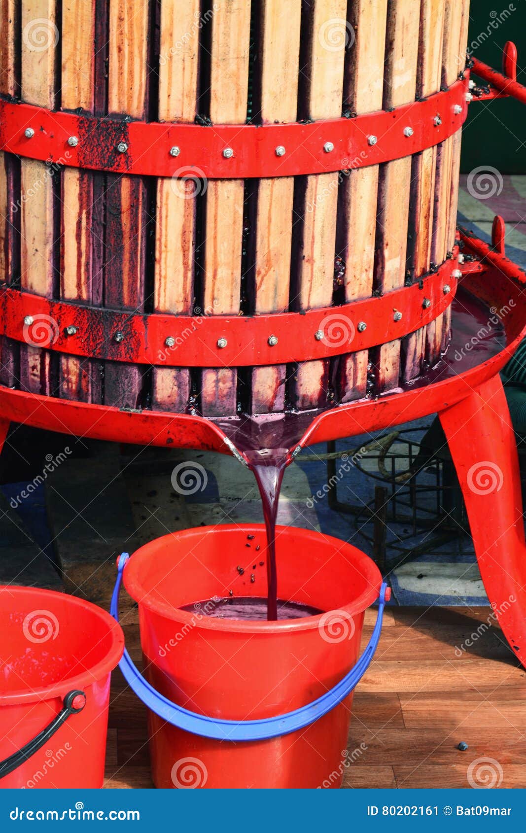 Fresh Red Grape Juice is Flowing into a Bucket from a Basket Press ...