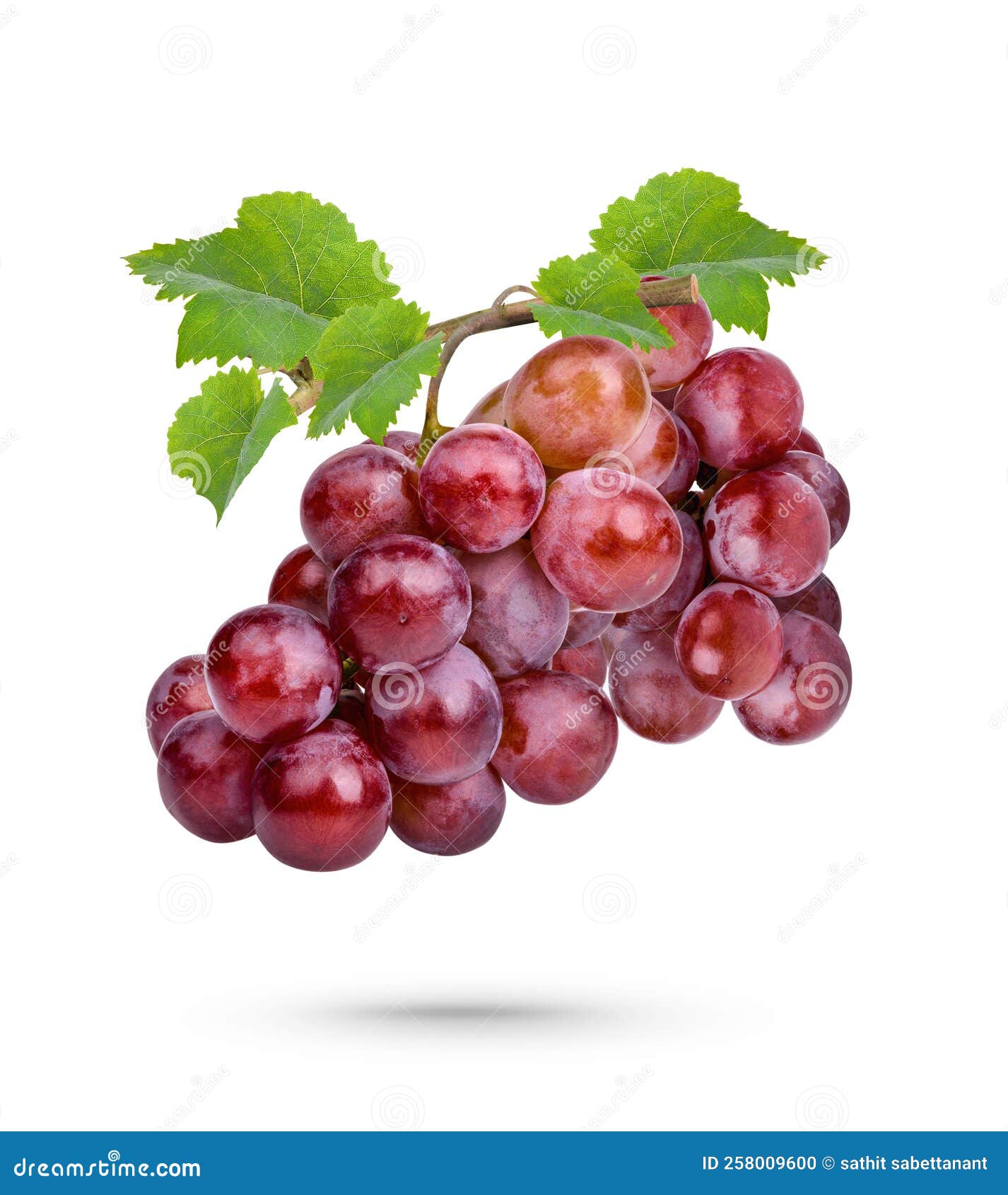 Fresh Red Grape with Leaves Isolated on White Background Stock Photo ...