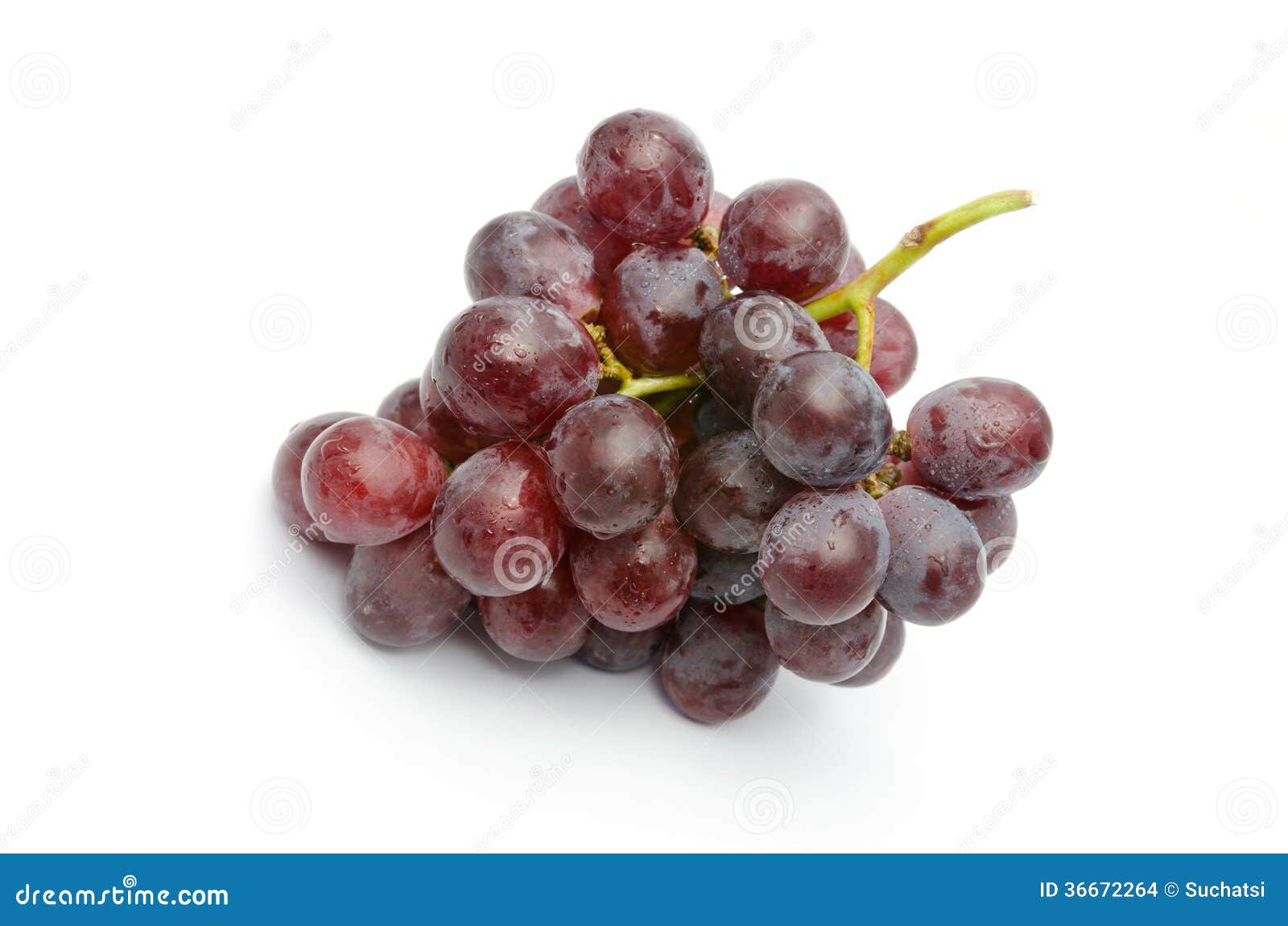 Fresh red grapes isolated stock photo. Image of grow - 36672264