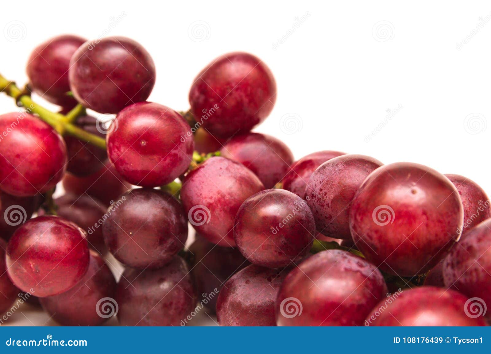 Red grapes isolated stock image. Image of berry, autumn - 108176439