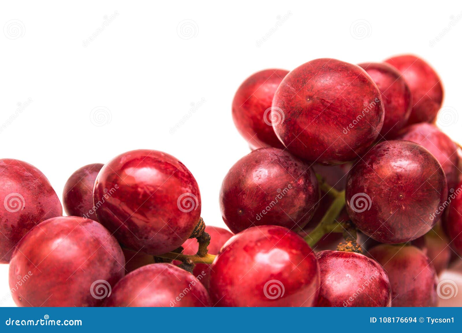 Red grapes isolated stock photo. Image of group, little - 108176694