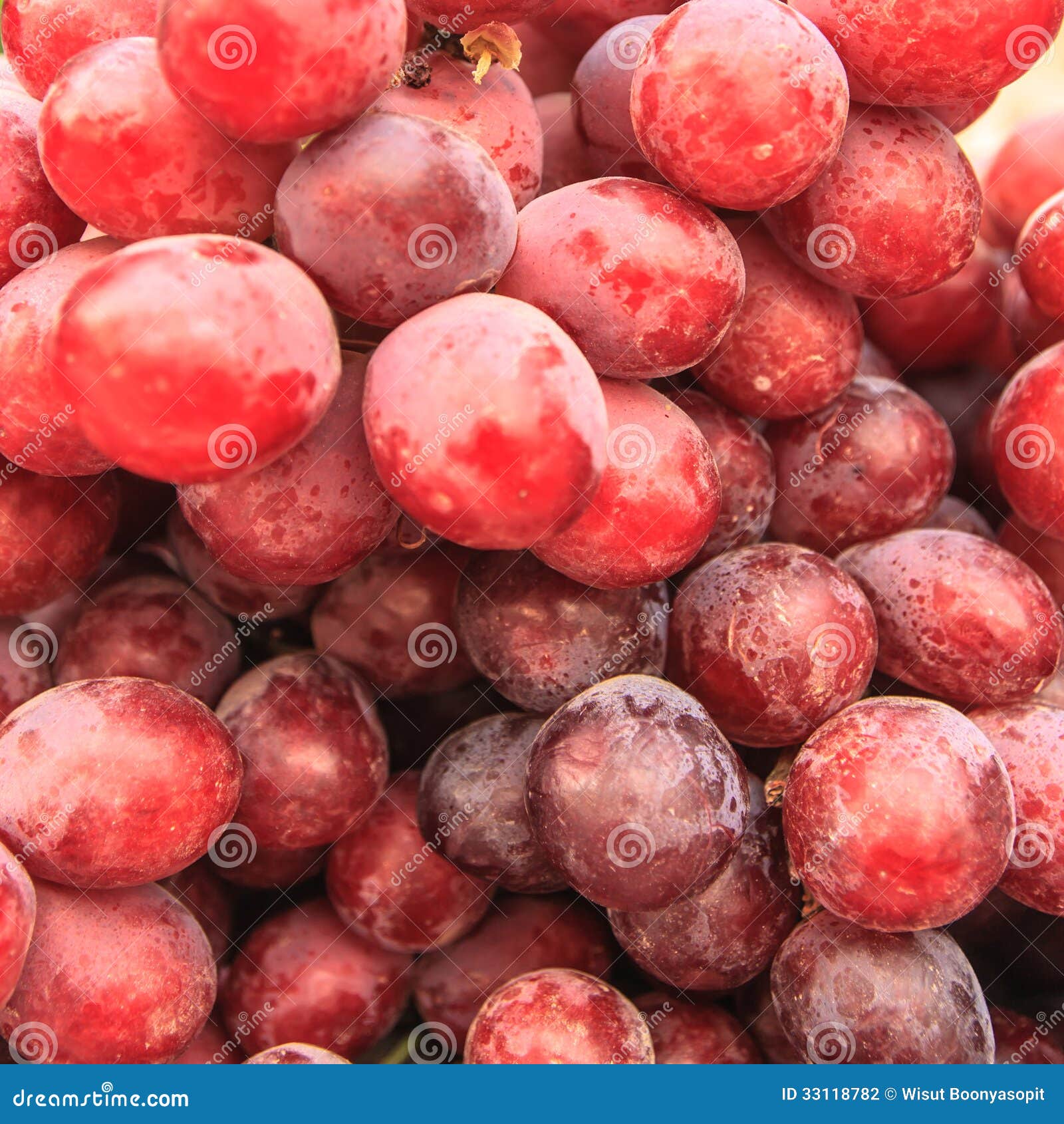 Fresh red grapes stock photo. Image of plant, fresh, natural - 33118782