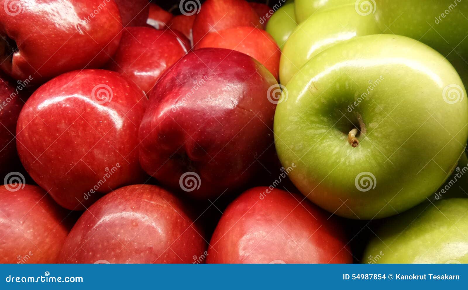 Fresh red and green apple stock photo. Image of fresh - 54987854