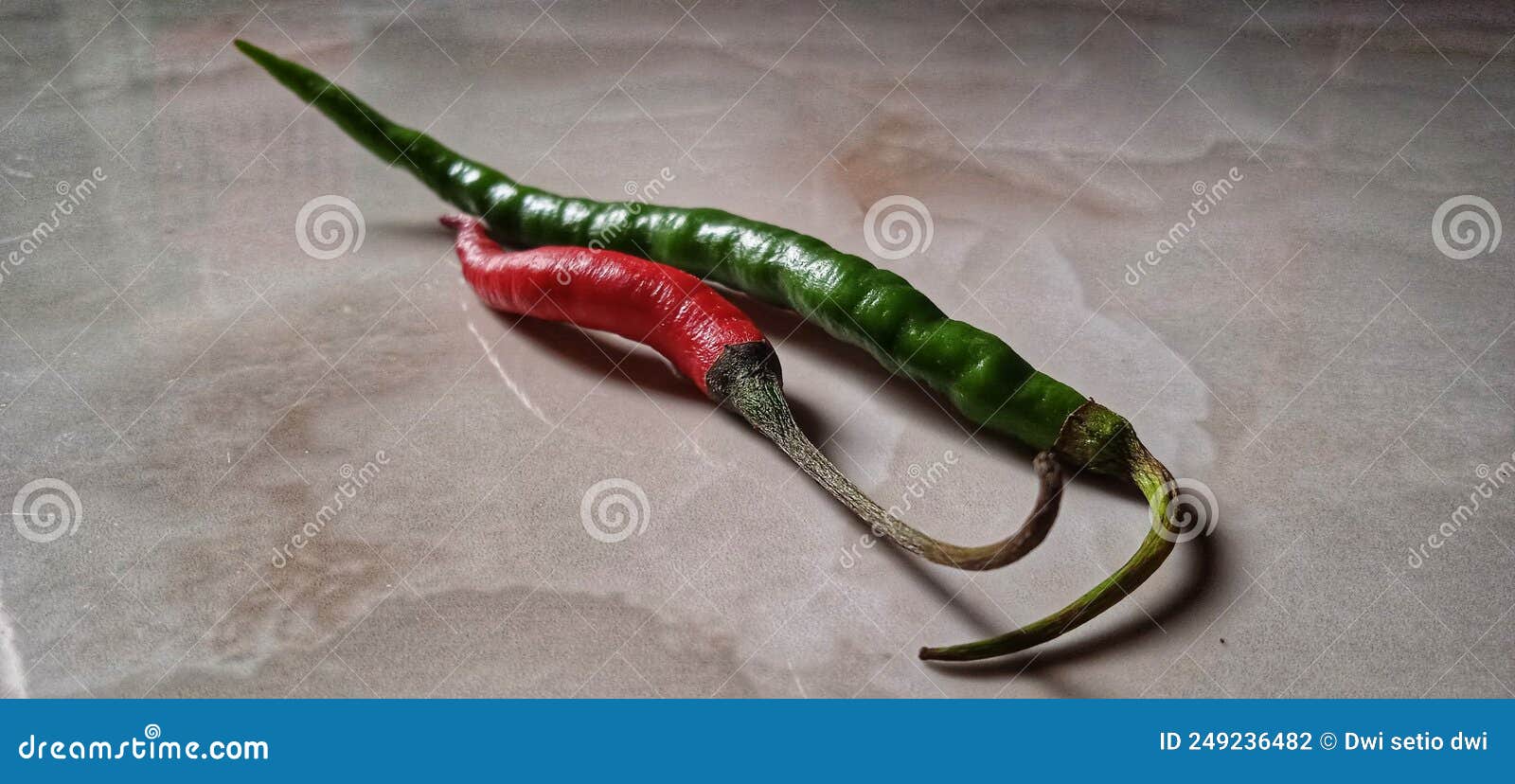 Fresh red and green chilli stock photo. Image of chilli - 249236482