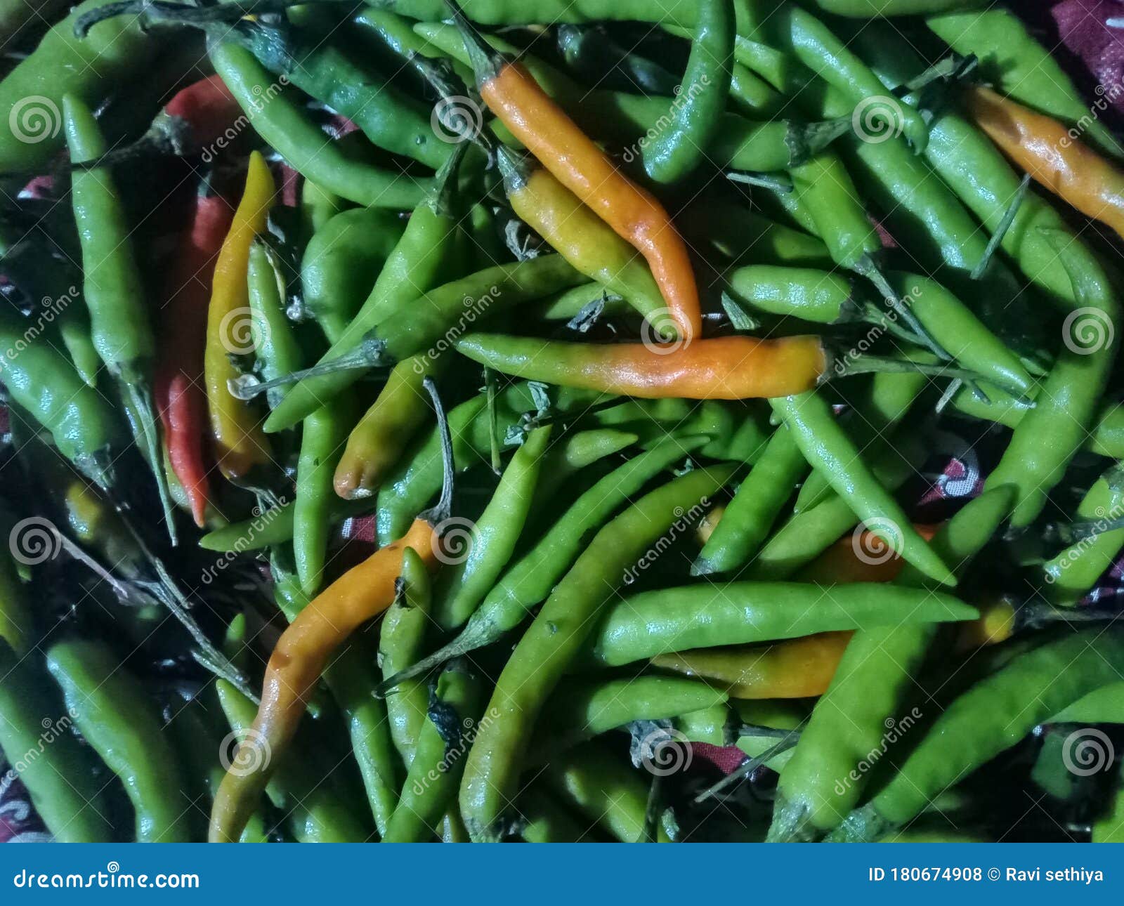 Fresh red and green chilli stock photo. Image of helthy - 180674908