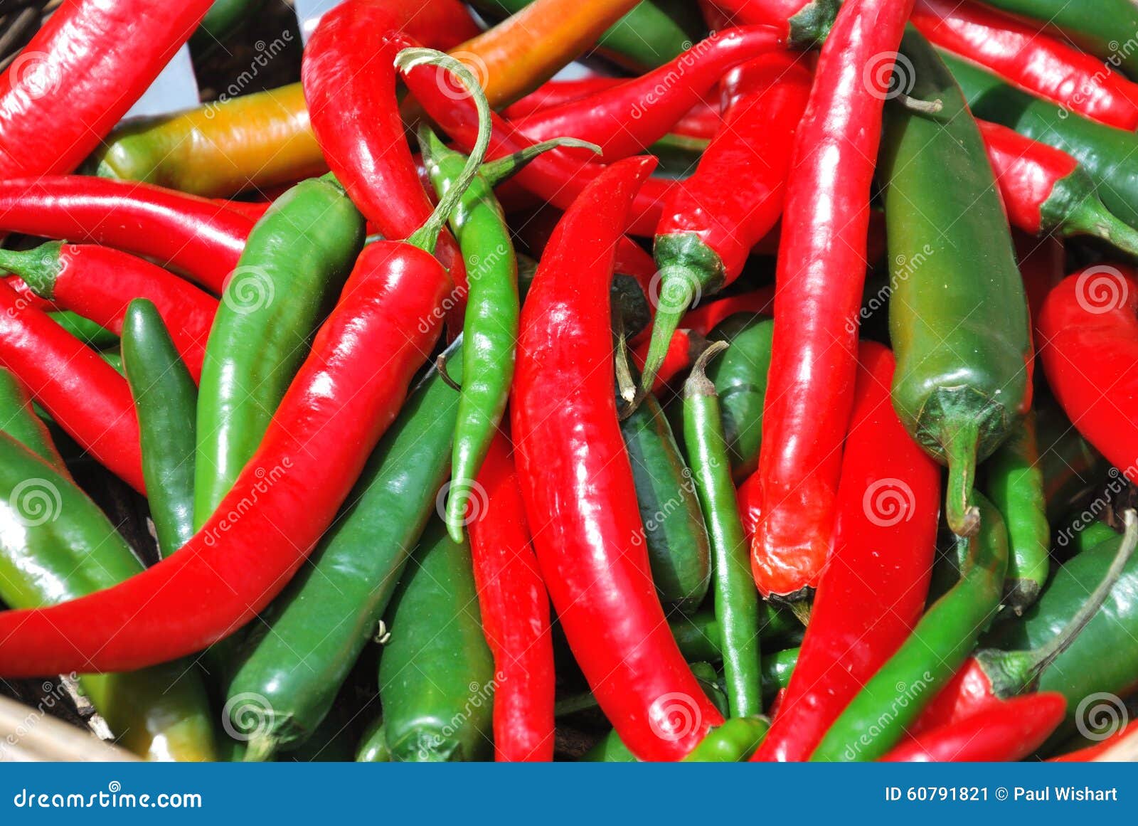 Fresh Red and Green Chillies Stock Image - Image of spice, chilli: 60791821