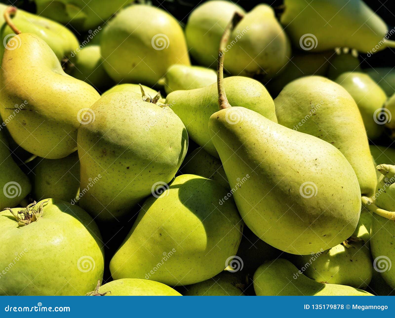 Fresh Red and Green Ripe Pears Background Stock Photo - Image of ...
