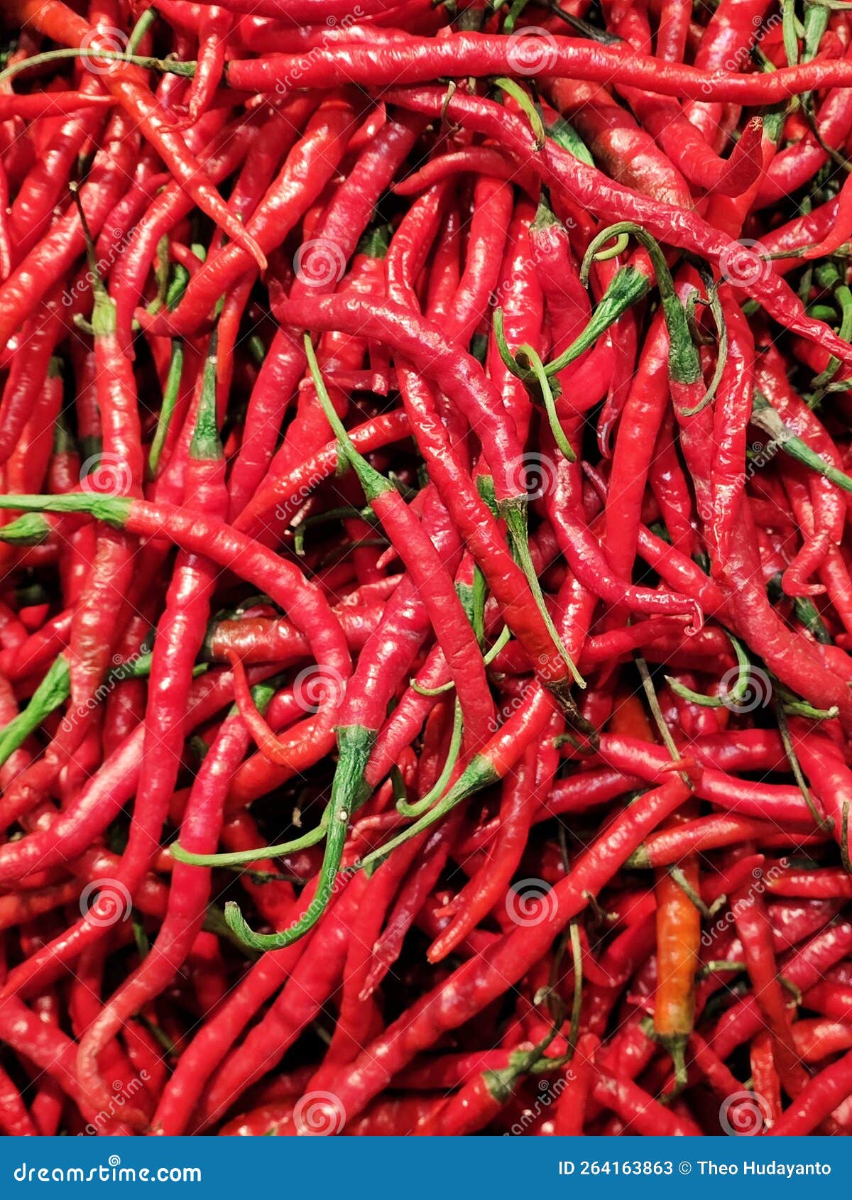 Fresh Red Hot Long Spicy Chilis Stock Image - Image of fruit, meat ...