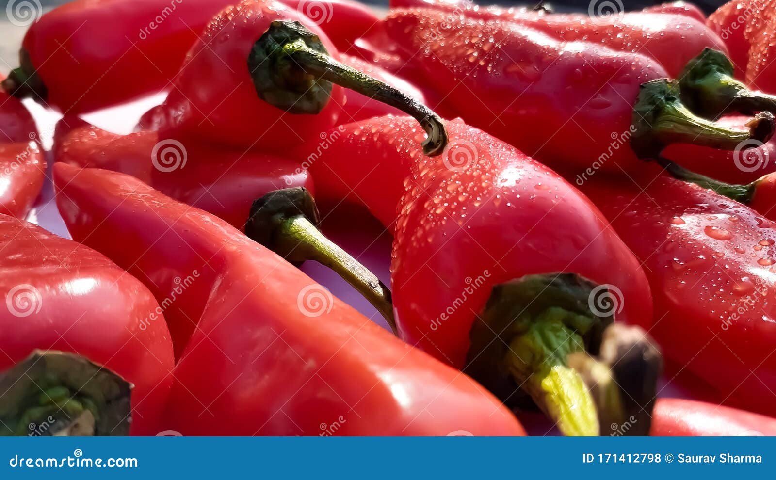 Fresh Red Hot and Spicy Chilli Images Stock Photo - Image of spicy ...