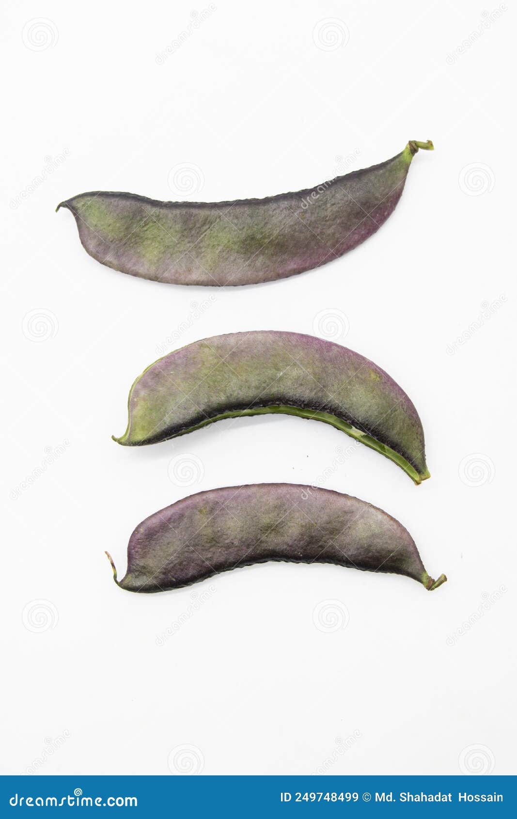 Fresh Red Lima Beans or Sheem Isolate on White Stock Image - Image of ...