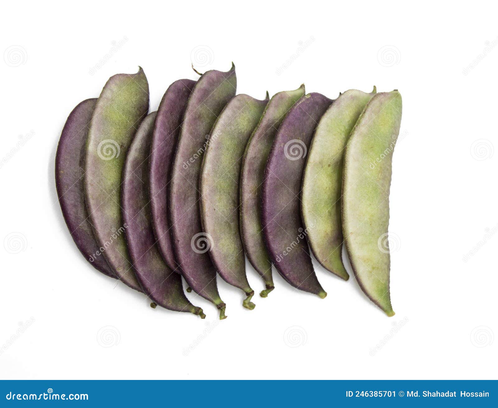 Fresh Red Lima Beans or Sheem Isolate on White. Top View Stock Image ...