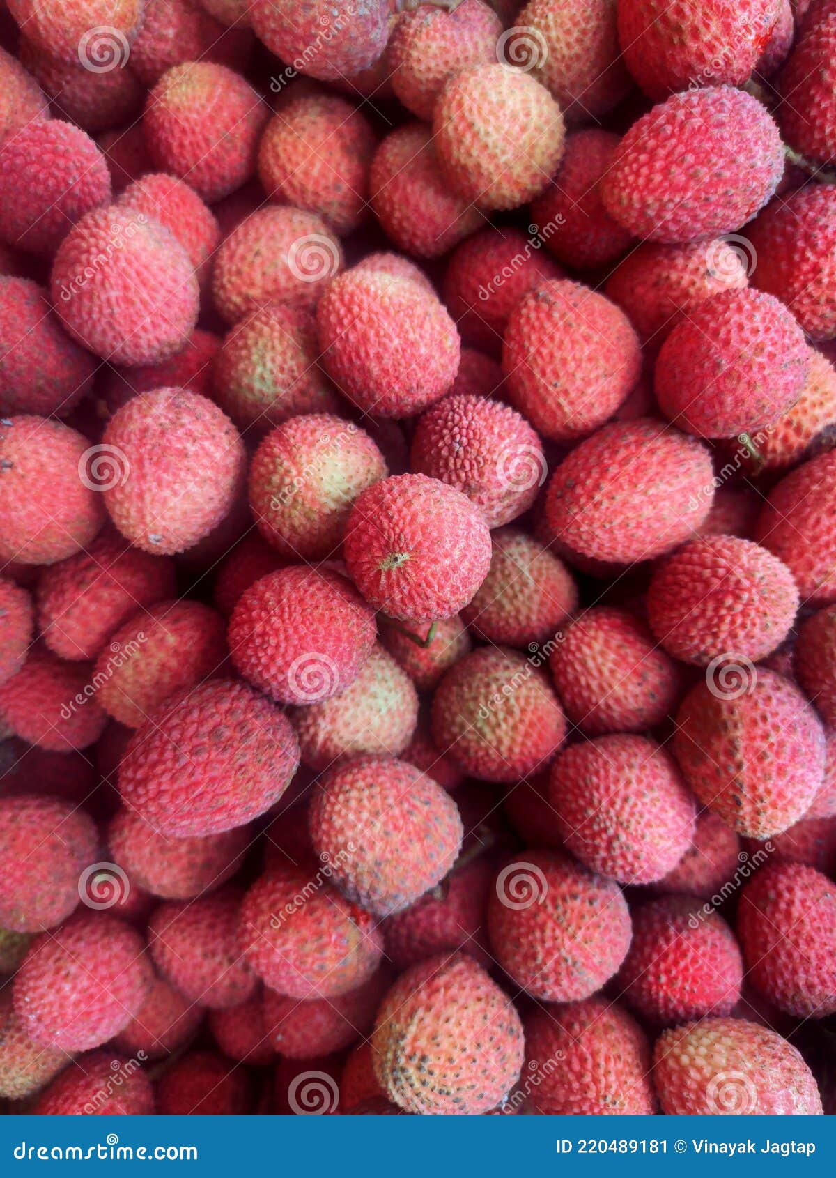 Fresh Red Litchi Fruit, Lichee, Lychee, or Lichi Stock Image - Image of ...