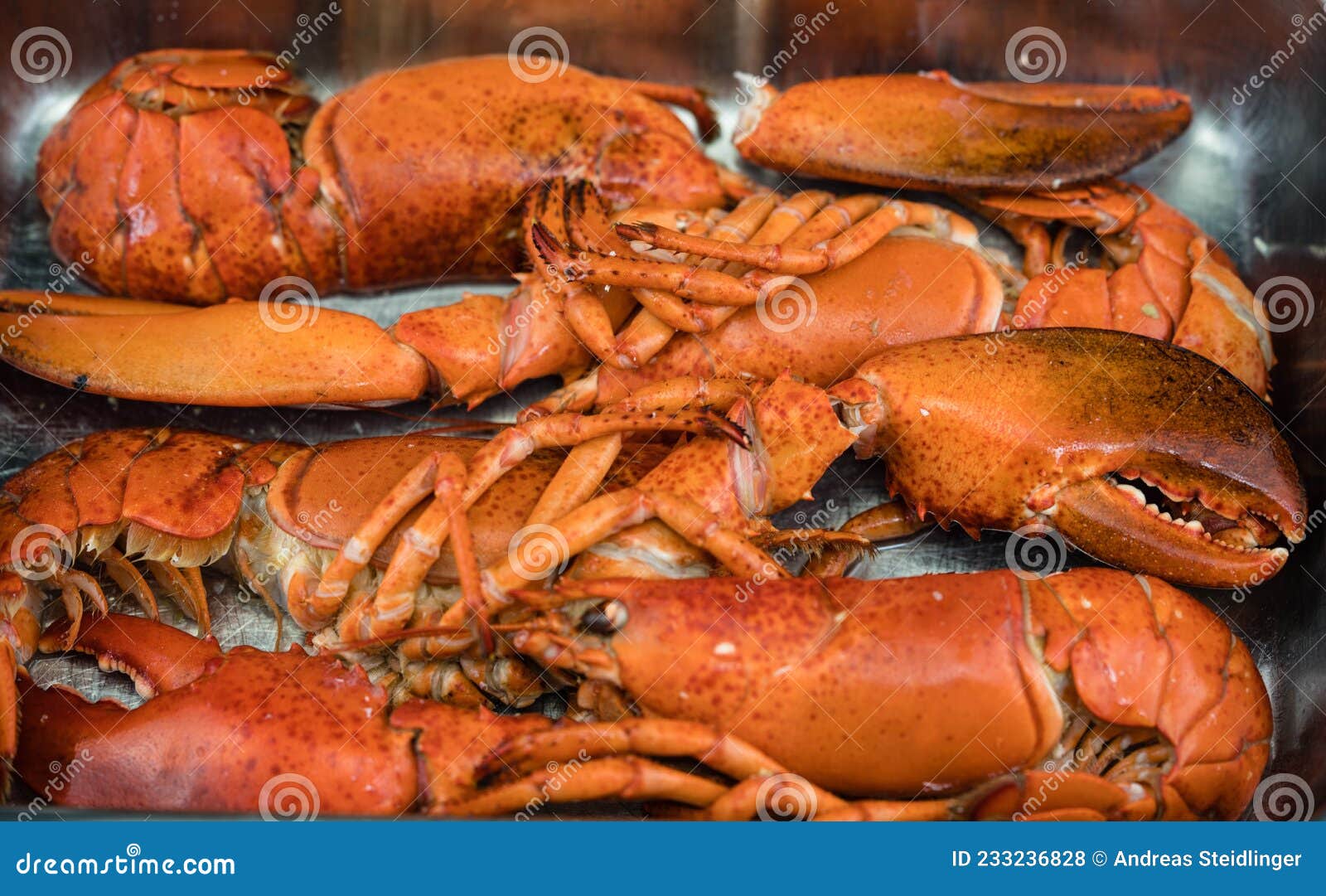 Fresh red lobster stock photo. Image of lettuce, crabs - 233236828