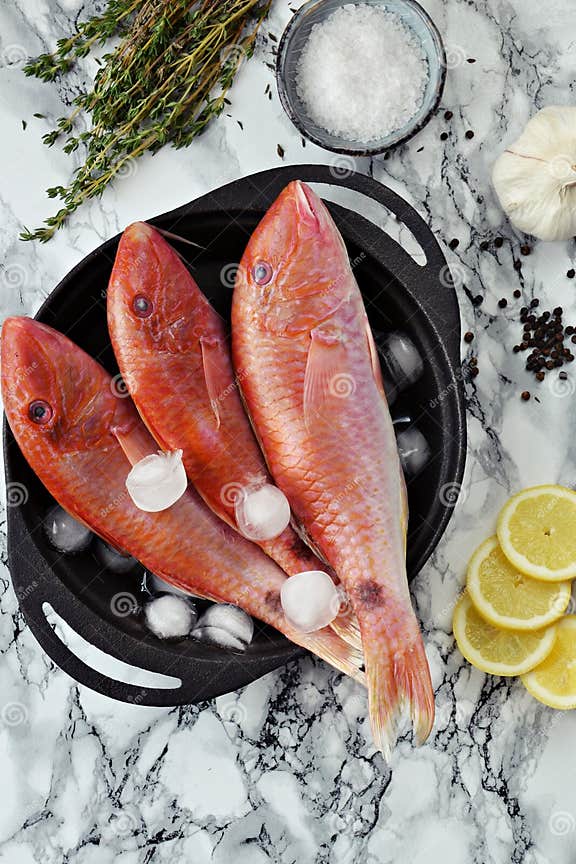 Fresh Red Mullet Fish stock image. Image of fresh, black - 94202247