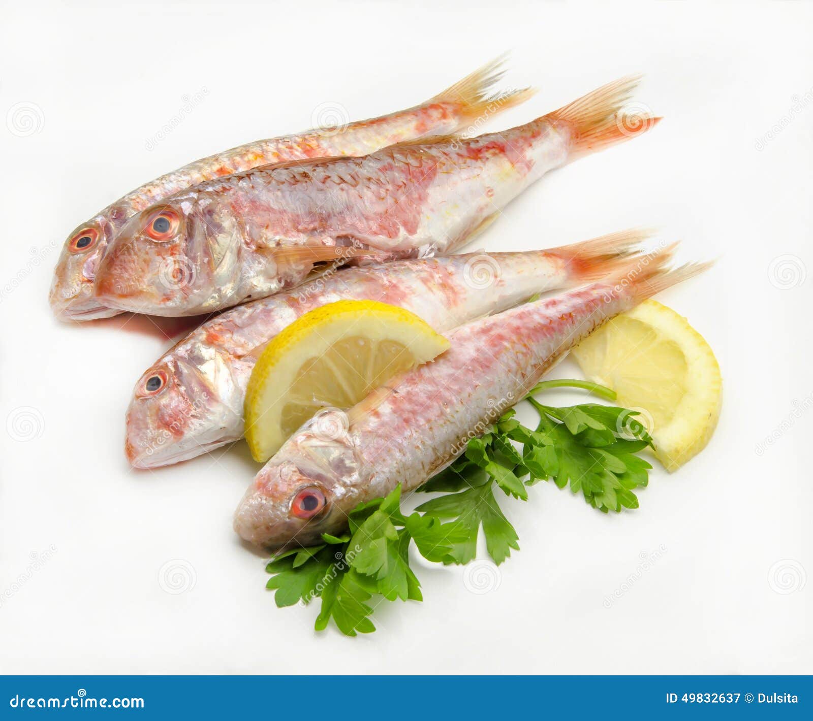 Fresh red mullet stock image. Image of dinner, mullet - 49832637