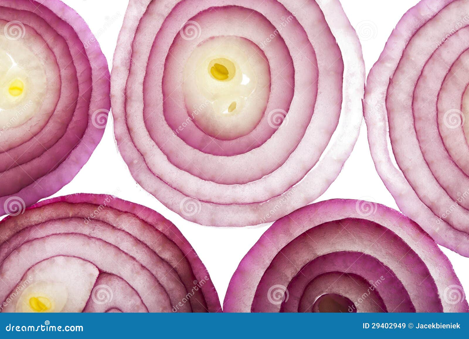 Fresh red onion slices stock image. Image of slice, onion - 29402949