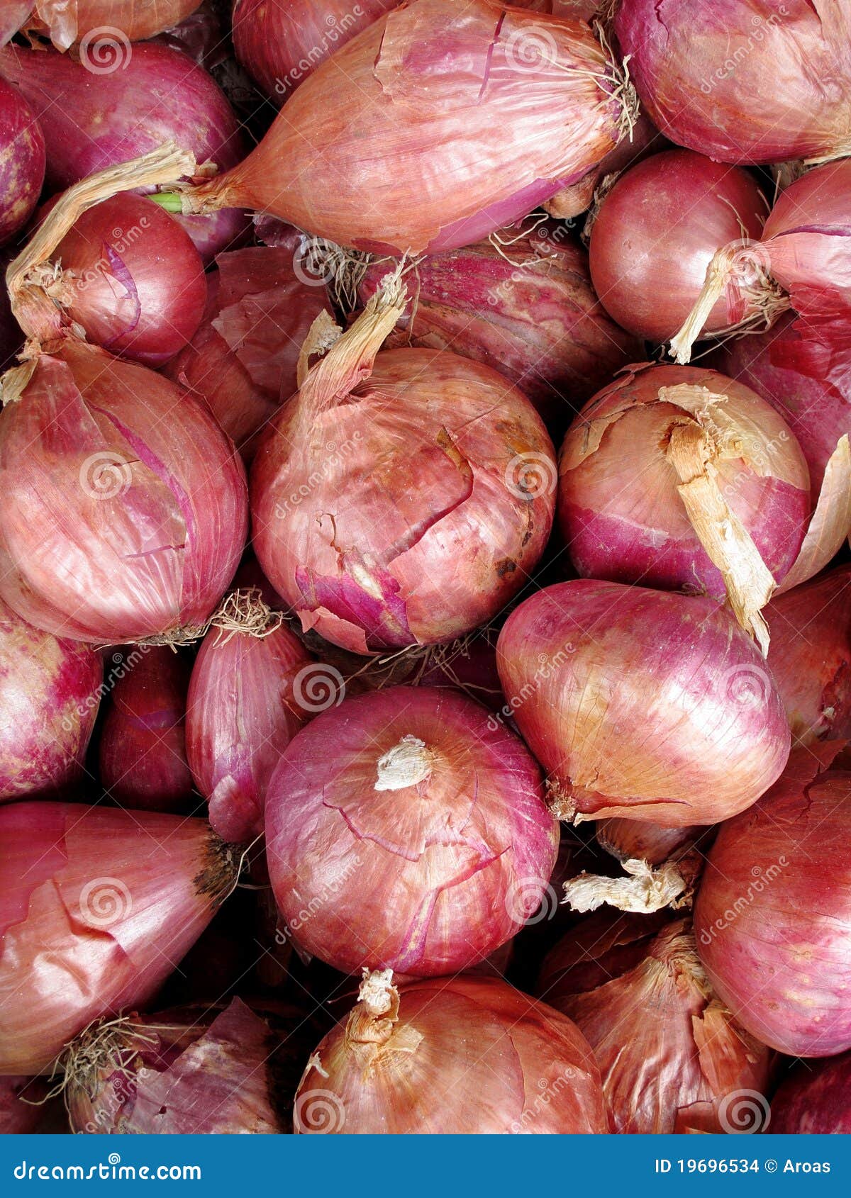 Fresh red onions stock photo. Image of groceries, object - 19696534